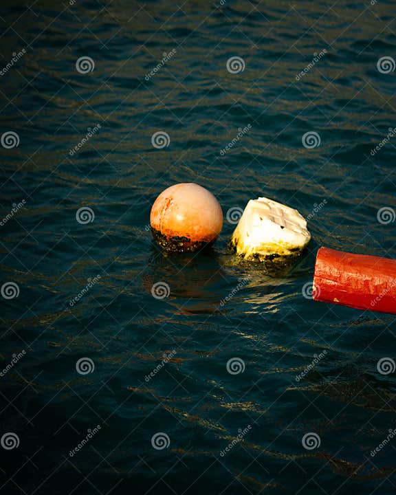 Closeup of Small Buoy Floating in the Water Stock Photo - Image of ...
