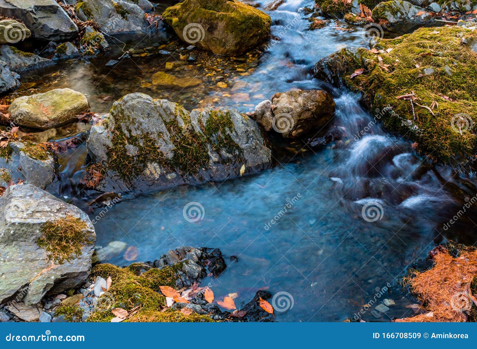 Small mountain stream stock image. Image of natural - 166708509