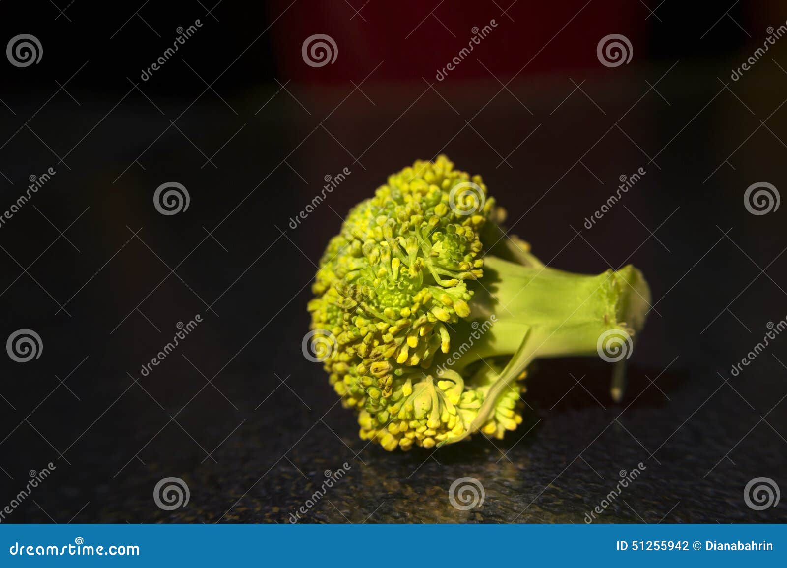 Closeup of Small Piece of Broccoli on Black Stock Photo - Image of ...