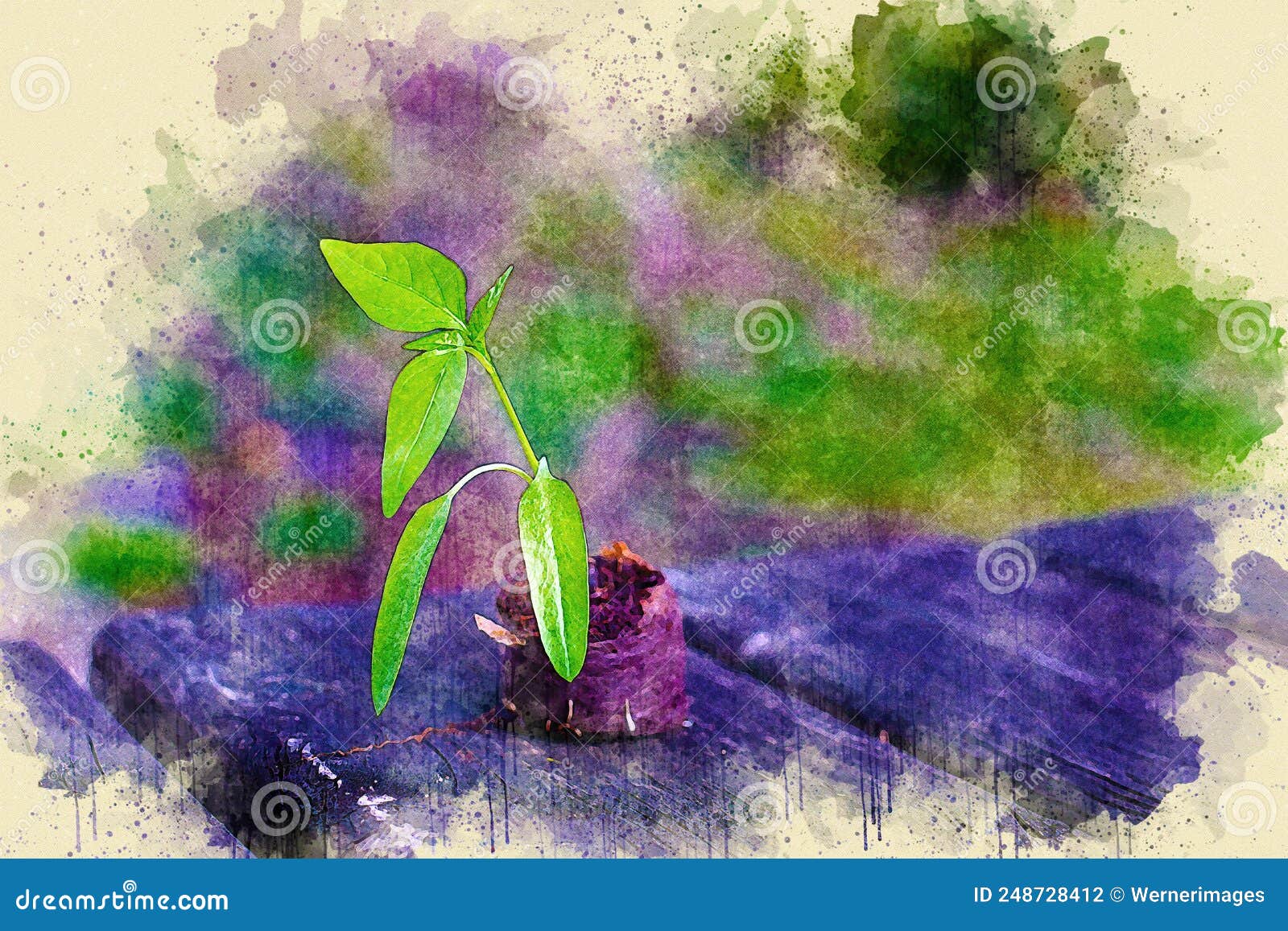 Cartoon Sapling Stock Photos - Free & Royalty-Free Stock Photos from ...