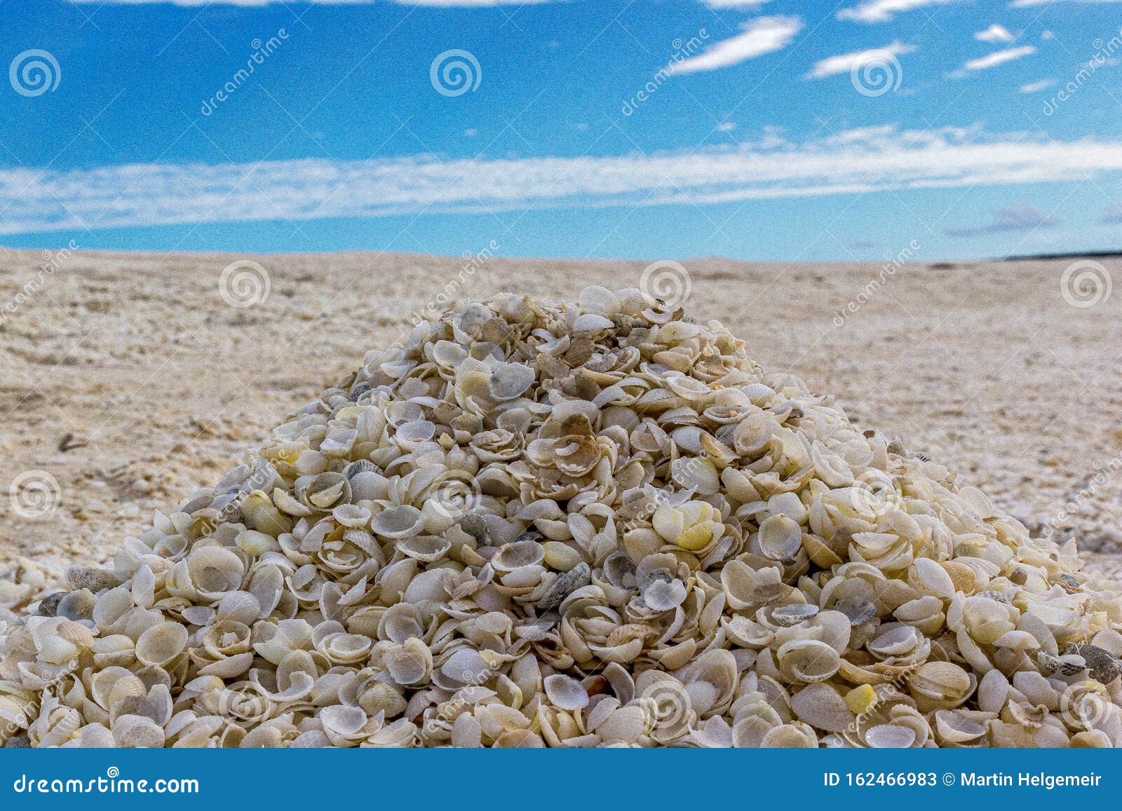 Closeup of Small Shells at Shellbeach in SharkBay with Beautiful Cloudy ...