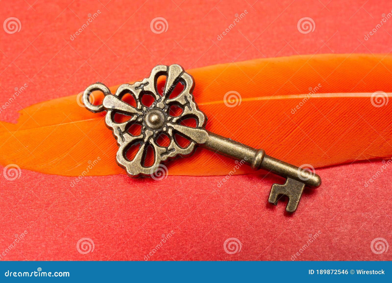 Closeup of a Small Vintage Key on an Orange Feather Under the Lights ...
