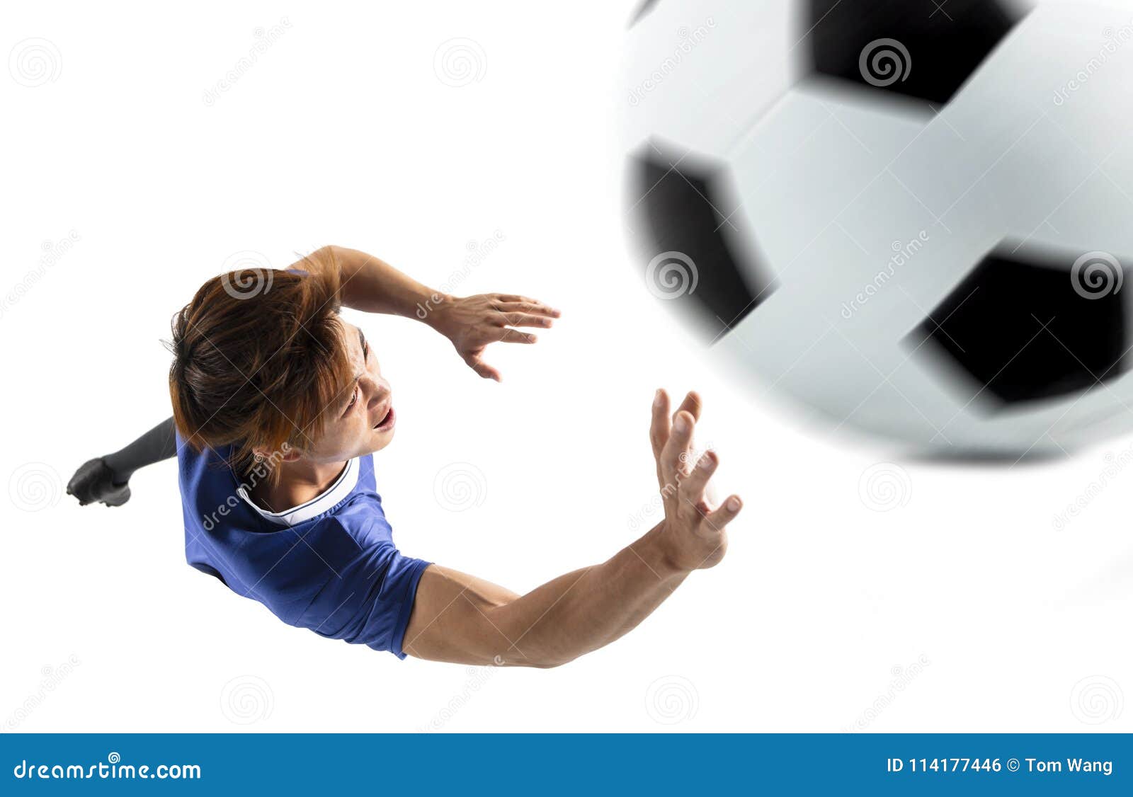 Soccer Player Goalkeeper in Action Stock Photo - Image of ball, studio ...