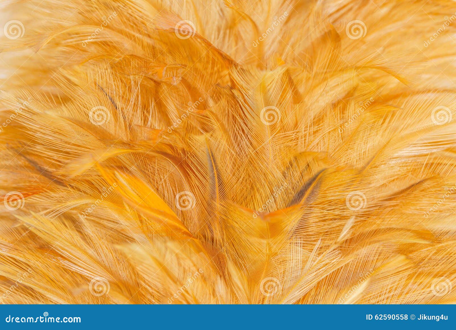 Closeup soft feather stock photo. Image of brown, feather - 62590558