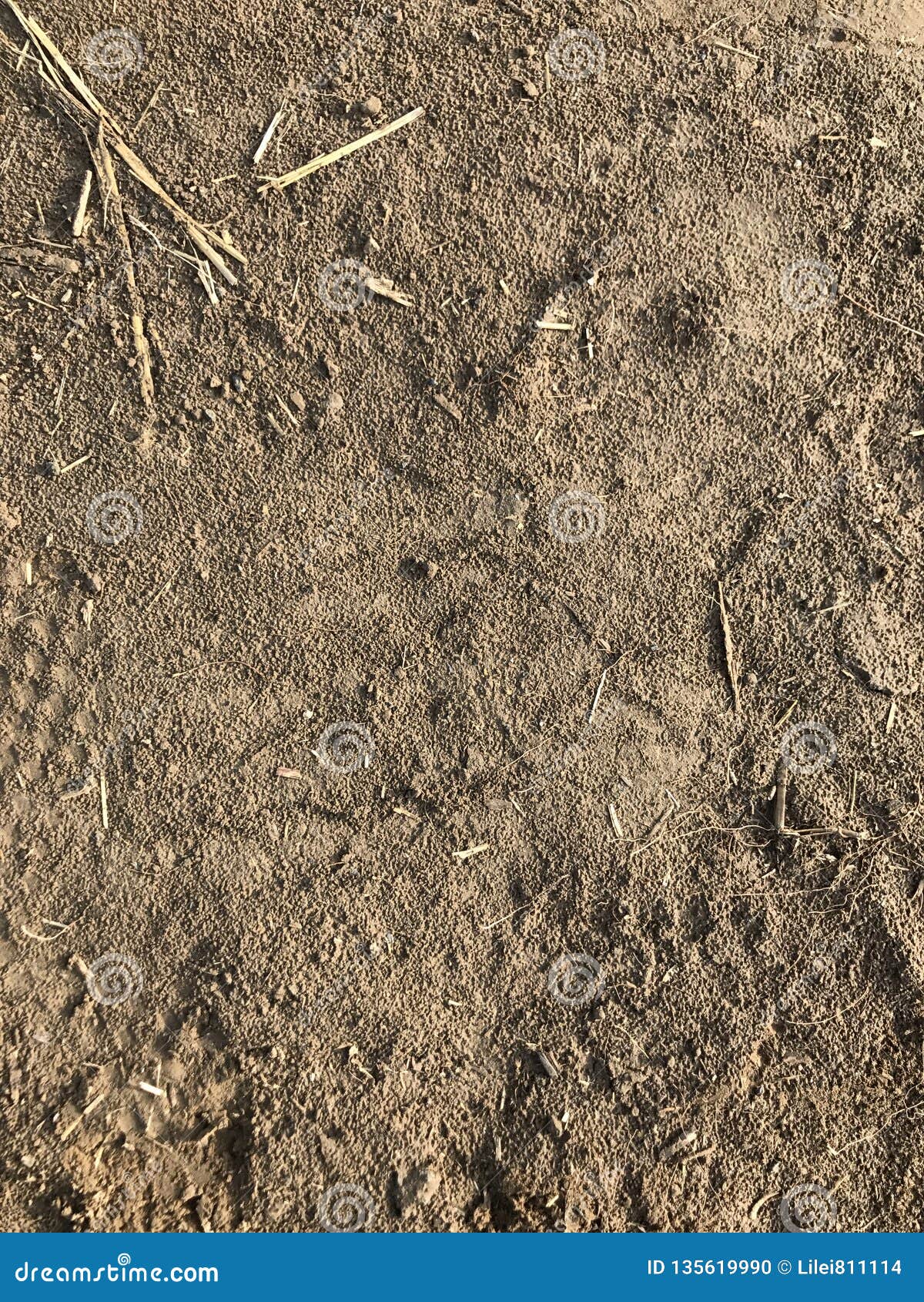 Closeup of soil stock photo. Image of footprint, environment - 135619990