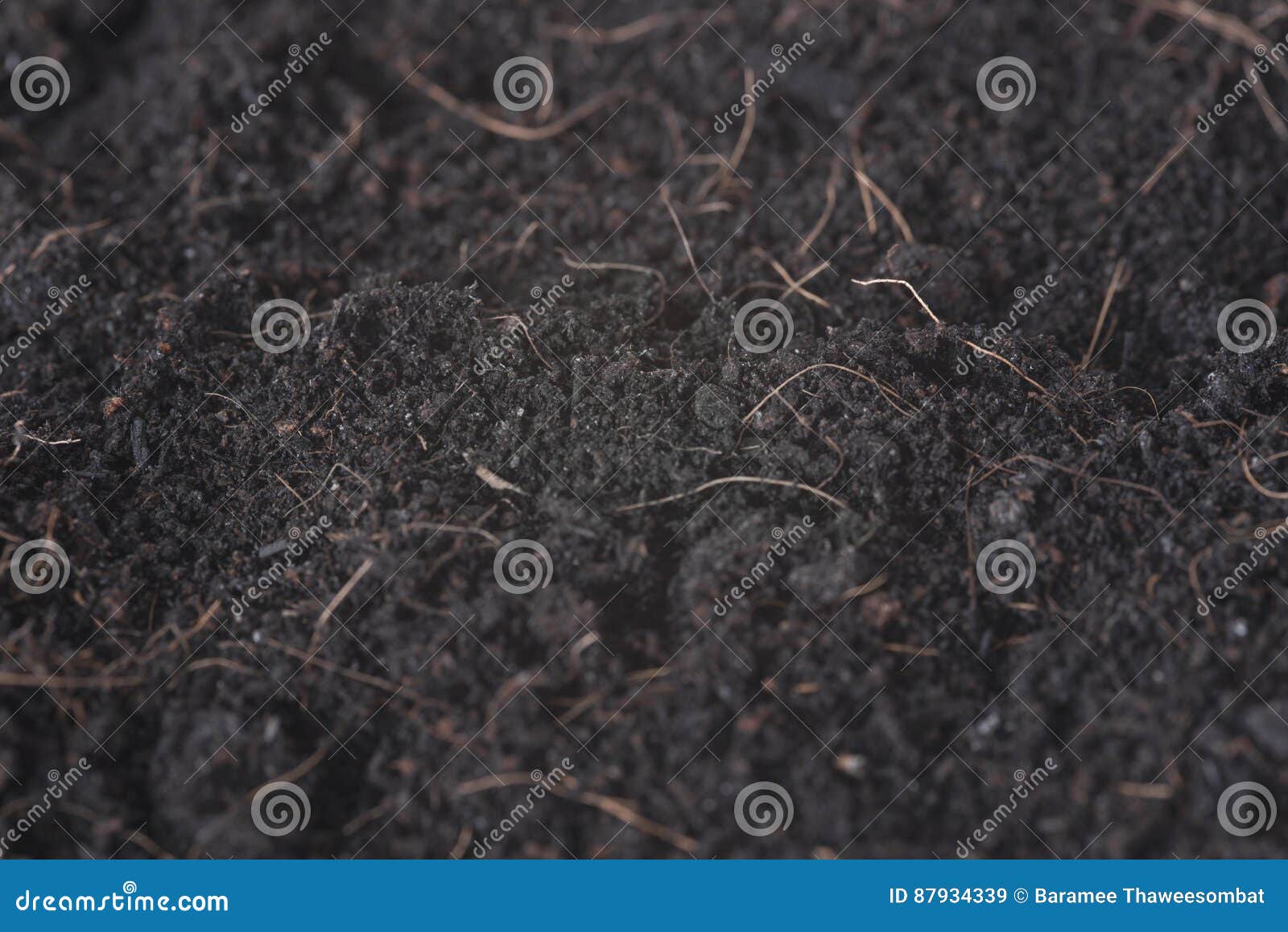 Closeup Soil Nature Texture in Garden Stock Image - Image of ...