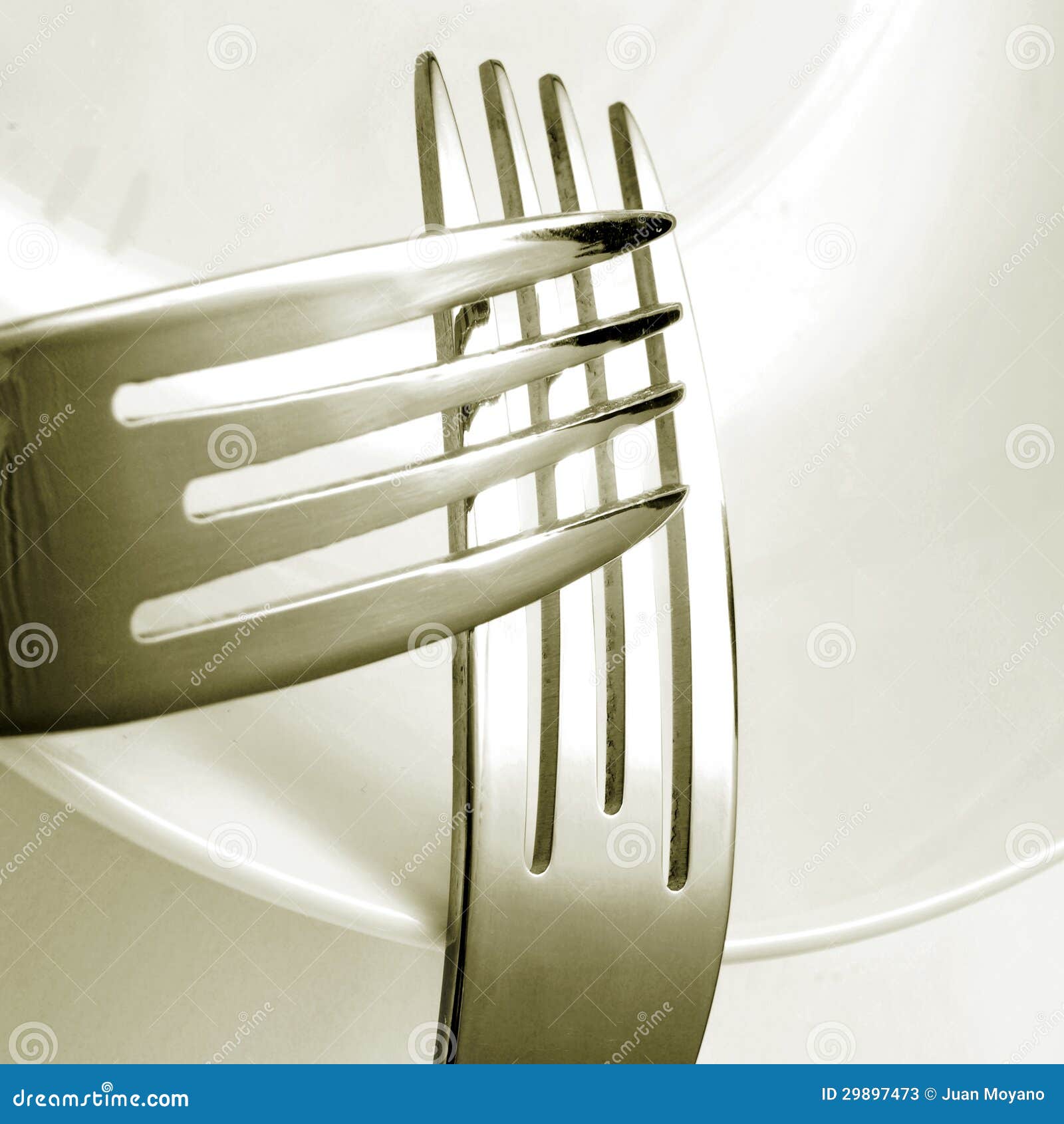 Forks and plate stock image. Image of lunch, dinner, fork - 29897473
