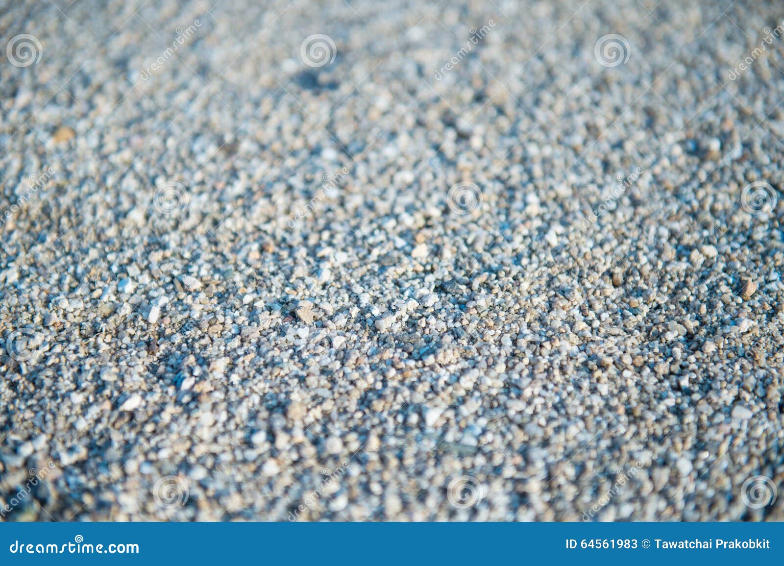 Closeup of Some Sand on the Shore. Stock Image - Image of beach, life ...