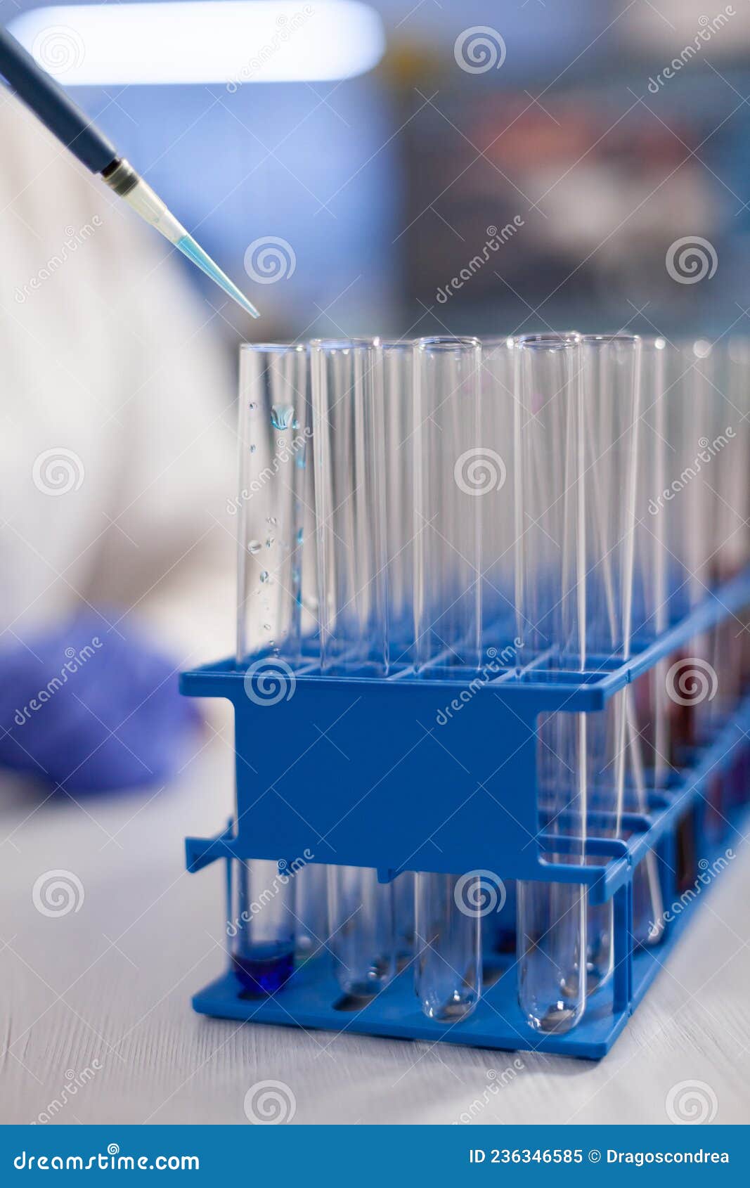 Closeup of Specialist Researcher Putting Solution in Transparent Test ...