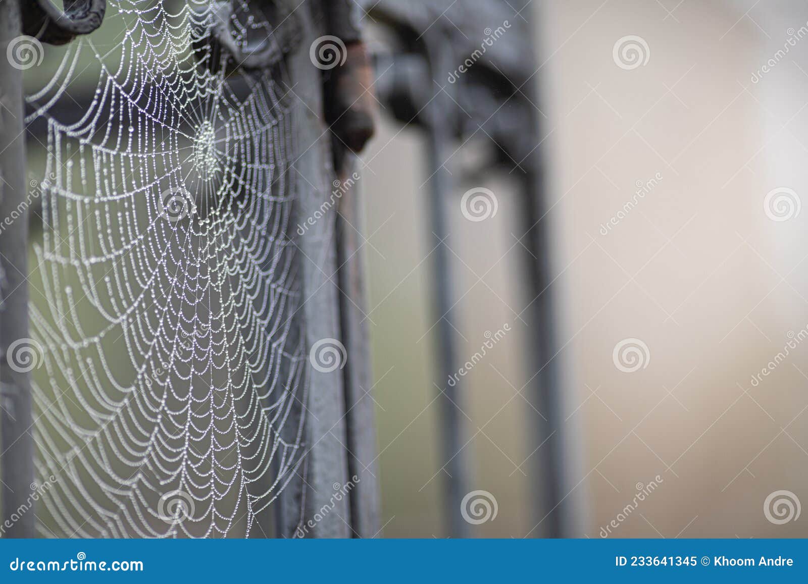 Closeup of the Spider Web on the Metal Railing Stock Image - Image of ...