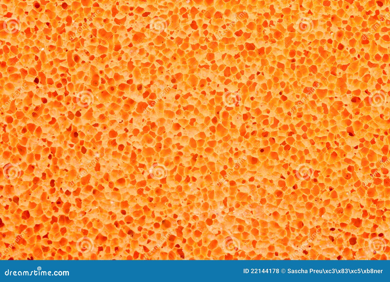 Closeup sponge stock photo. Image of backdrop, artificial - 22144178