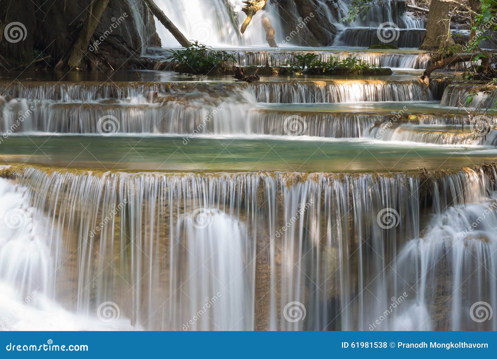 Closeup Spring Water Cascades in Deep Forest Stock Photo - Image of ...