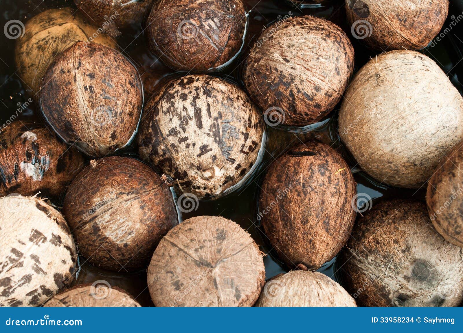 Closeup of Stack Coconut Shell Stock Photo - Image of fruits, objects ...