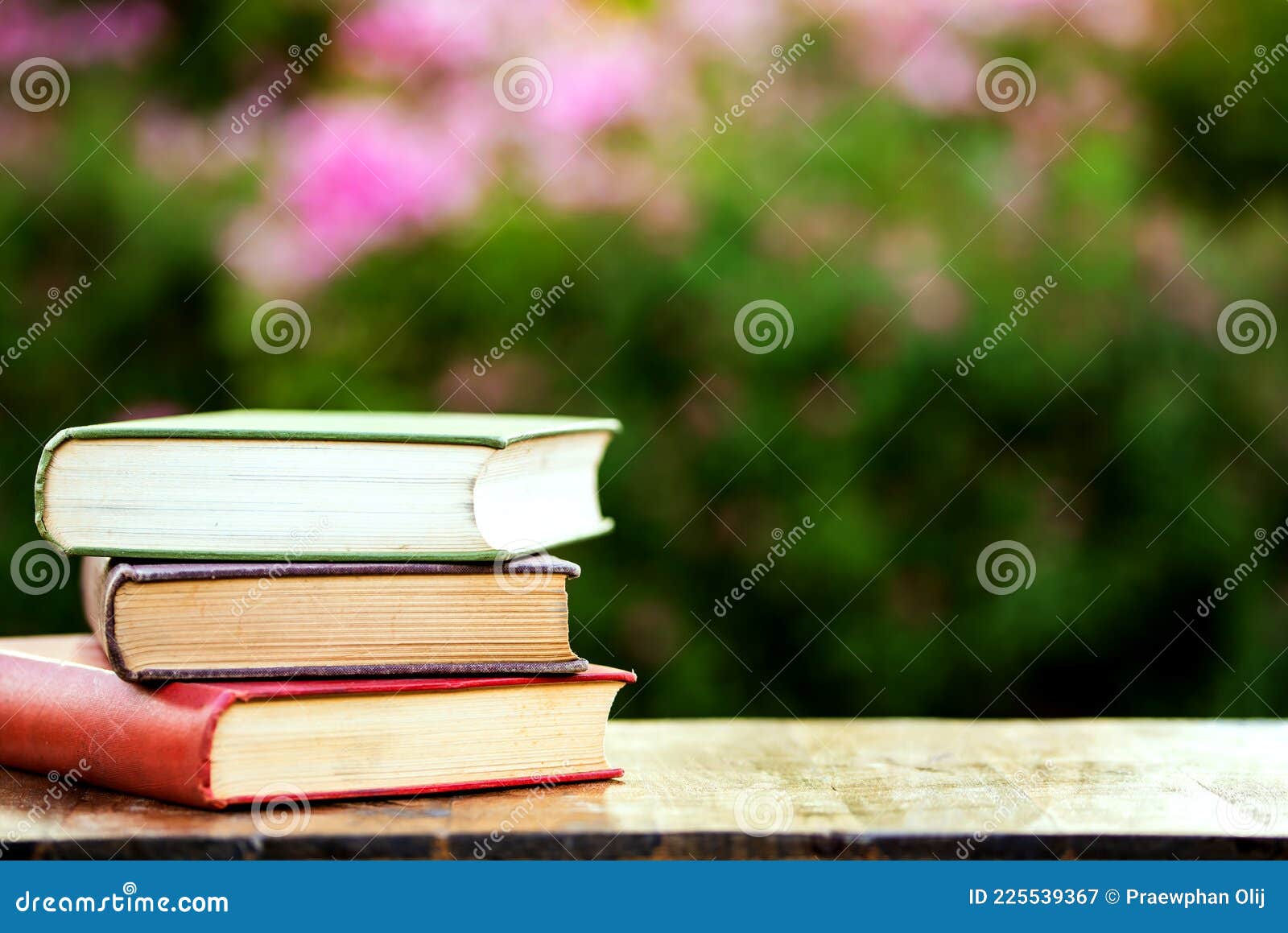 Stack of 3 Old Text Books on a Rustic Wooden Table with Blured Nature ...