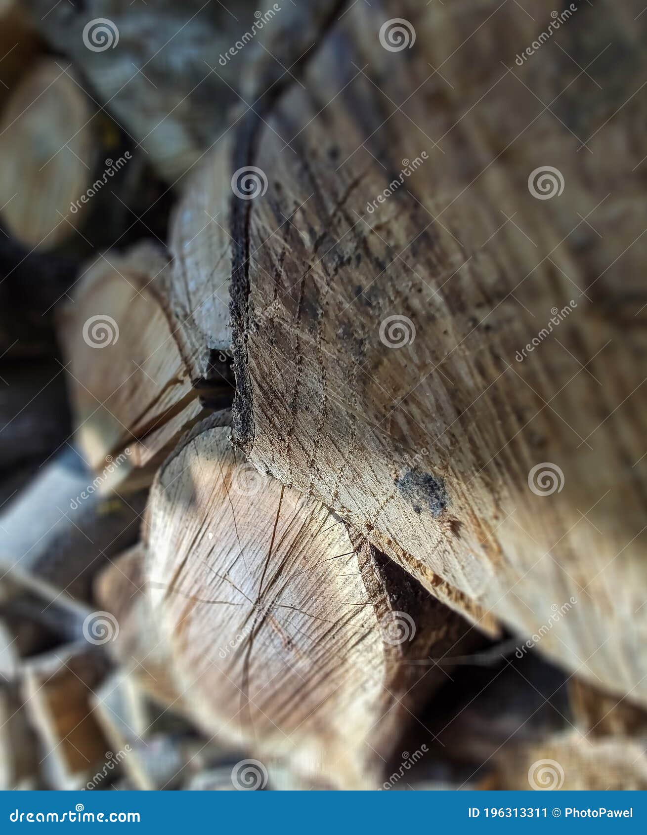 Closeup Stacked Cut Tree Trunks for Winter. Timber Firewood Stock Image ...