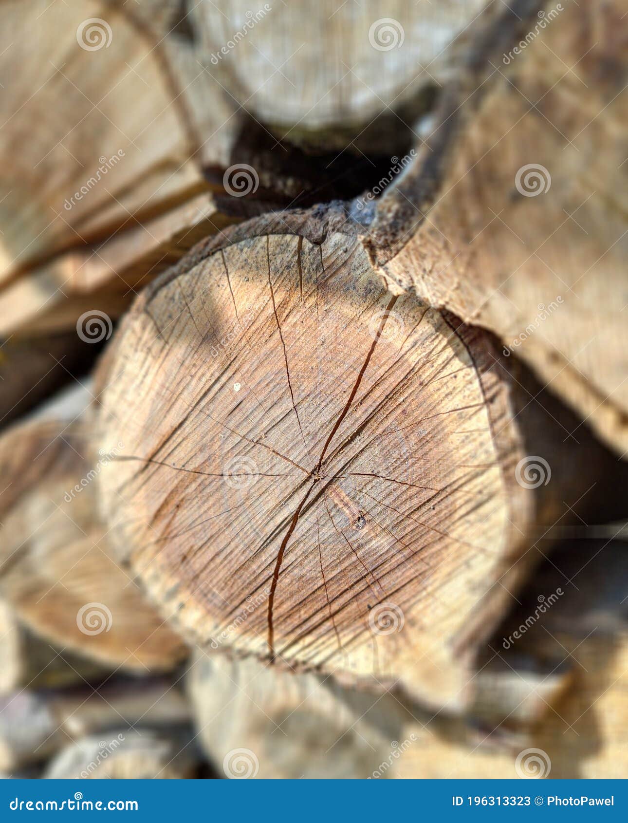 Closeup Stacked Cut Tree Trunks for Winter. Timber Firewood Stock Image ...