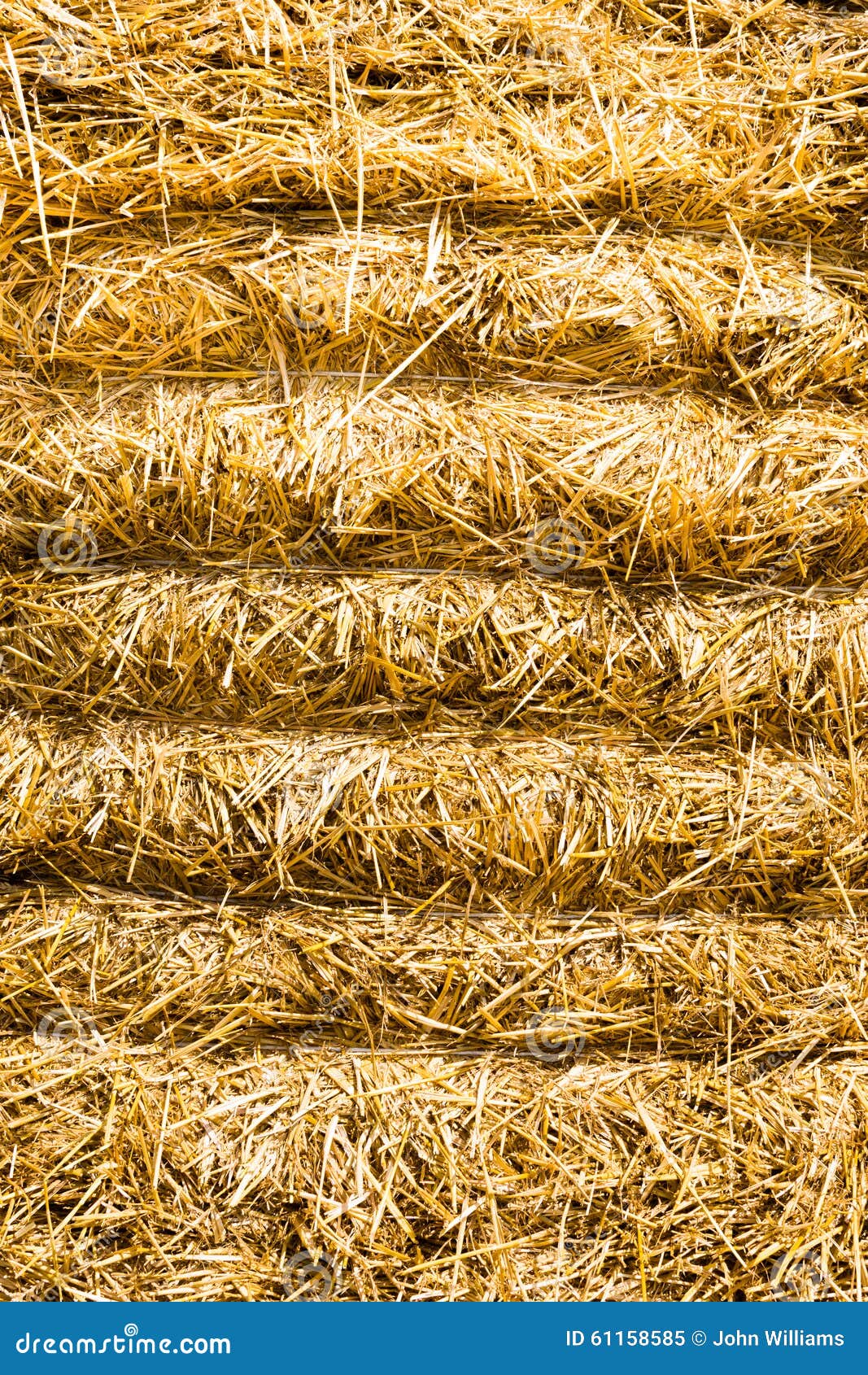 Closeup of a Stacked Round Straw Bale Stock Image - Image of harvesting ...