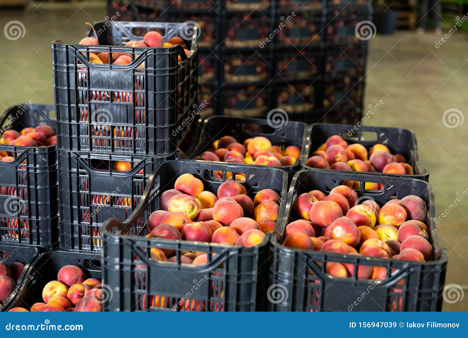 Pllastic Boxes with Peaches Stock Image - Image of crate, industrial ...