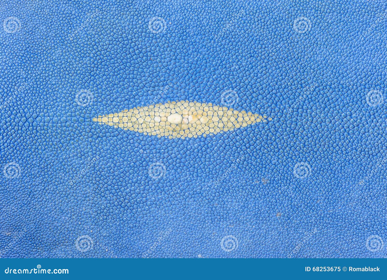 A Closeup of a Stingray Skin Texture Stock Image - Image of decoration ...