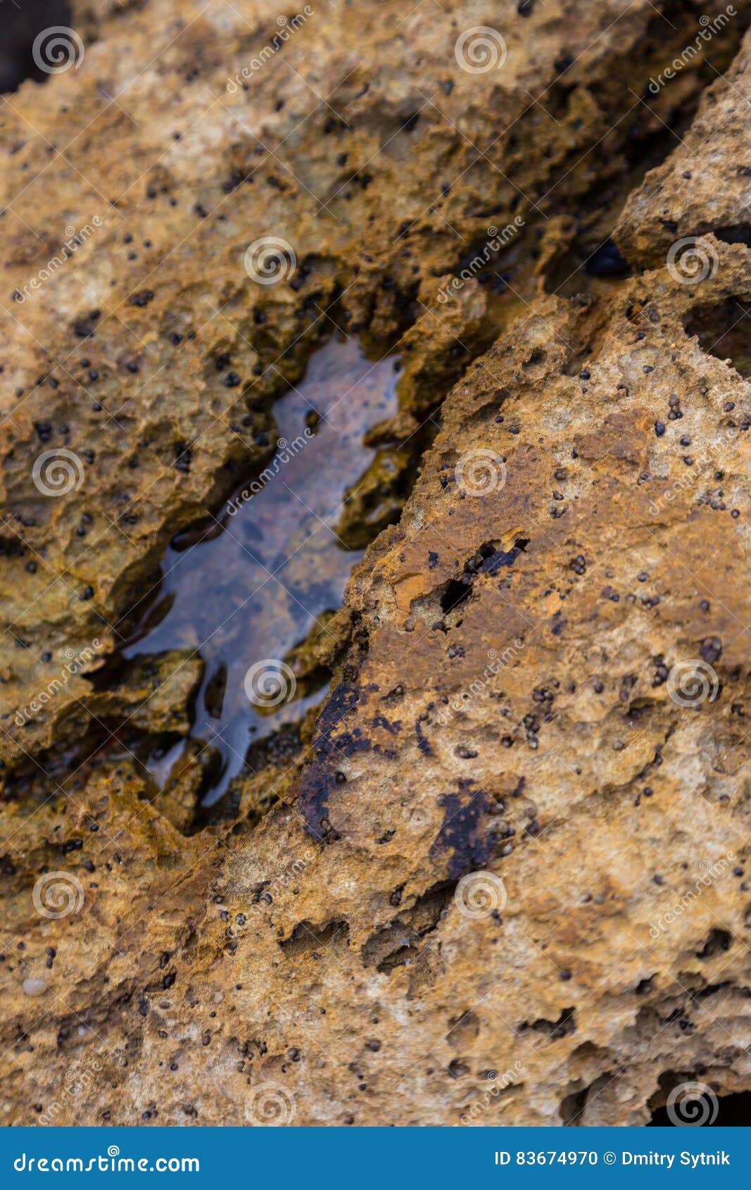 Closeup Stone with Puddle from Atlantic Coastline Stock Photo - Image ...