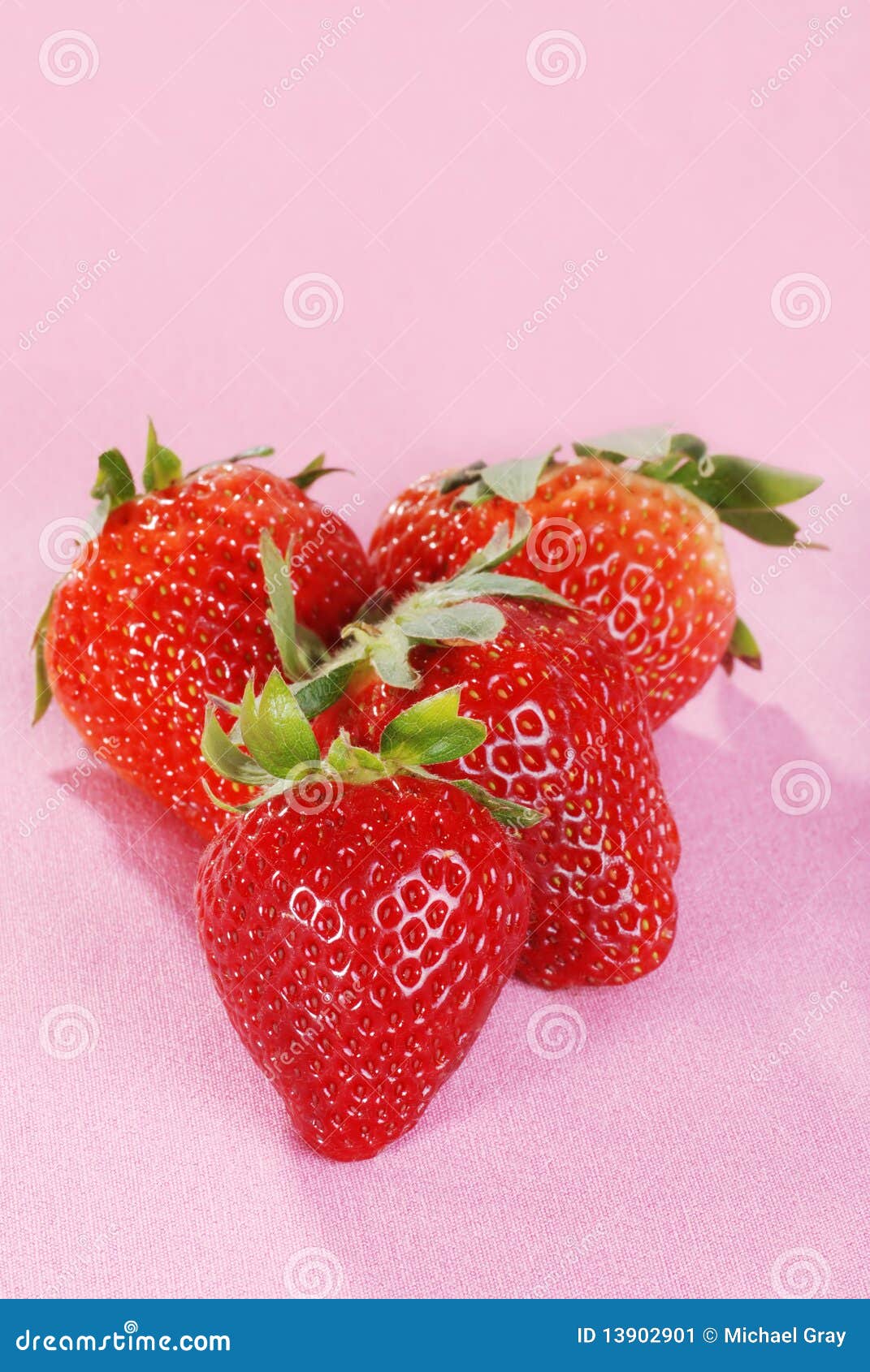 Closeup Strawberries on Pink Stock Image - Image of lots, strawberry ...