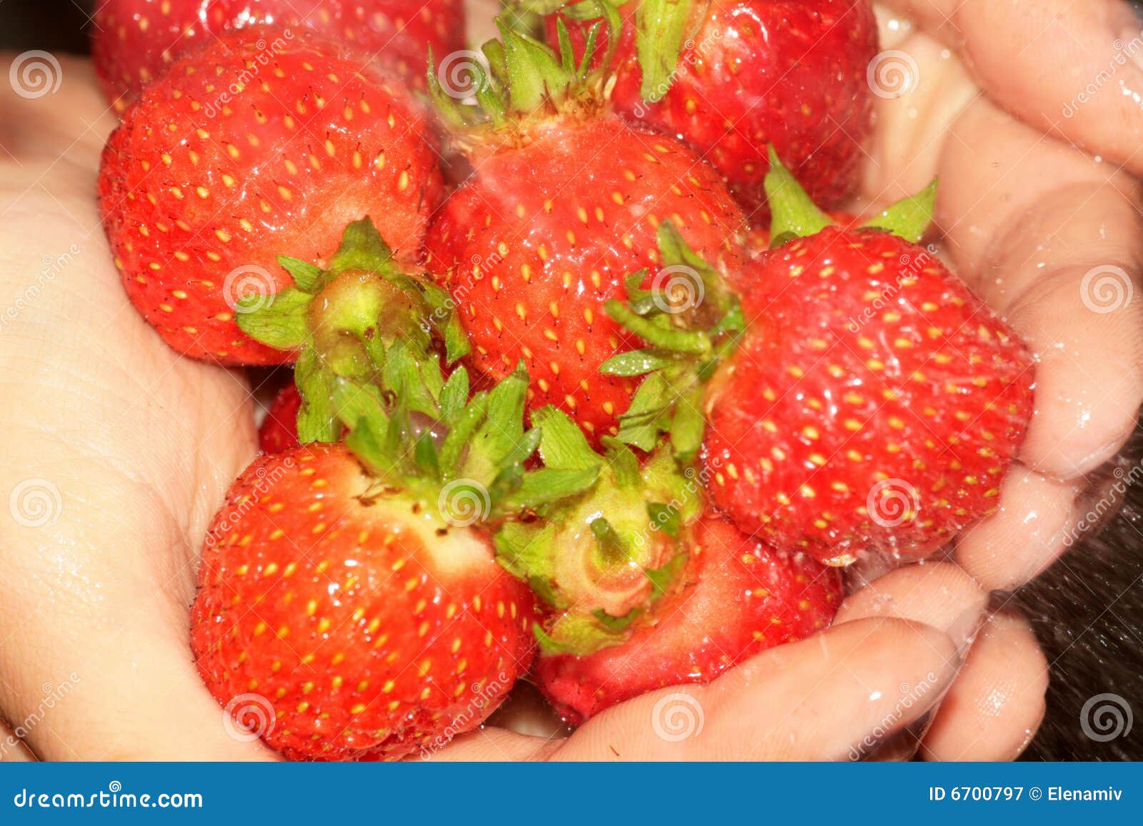 Closeup of Strawberry in Hands. Stock Image - Image of natural, eating ...