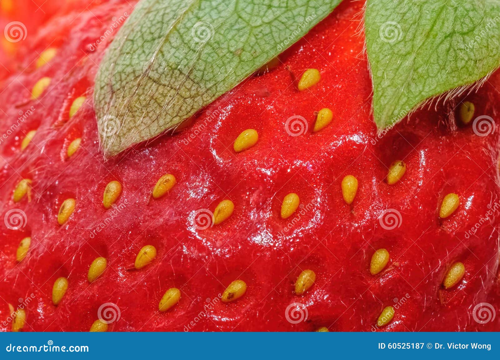 Closeup of Strawberry Surface Stock Image - Image of pattern, color ...