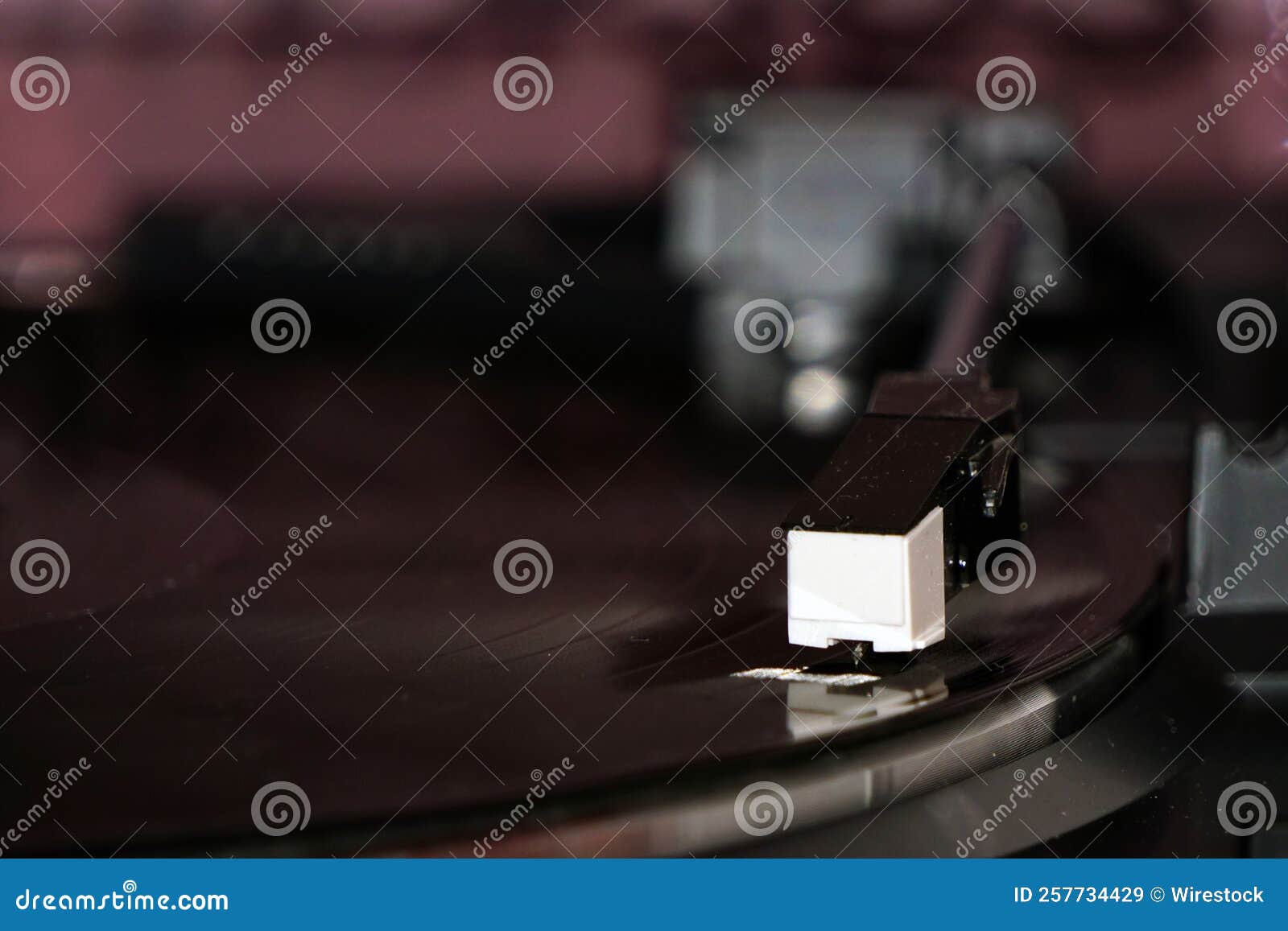 Closeup of a Stylus Needle on the Vinyl Stock Image - Image of record ...