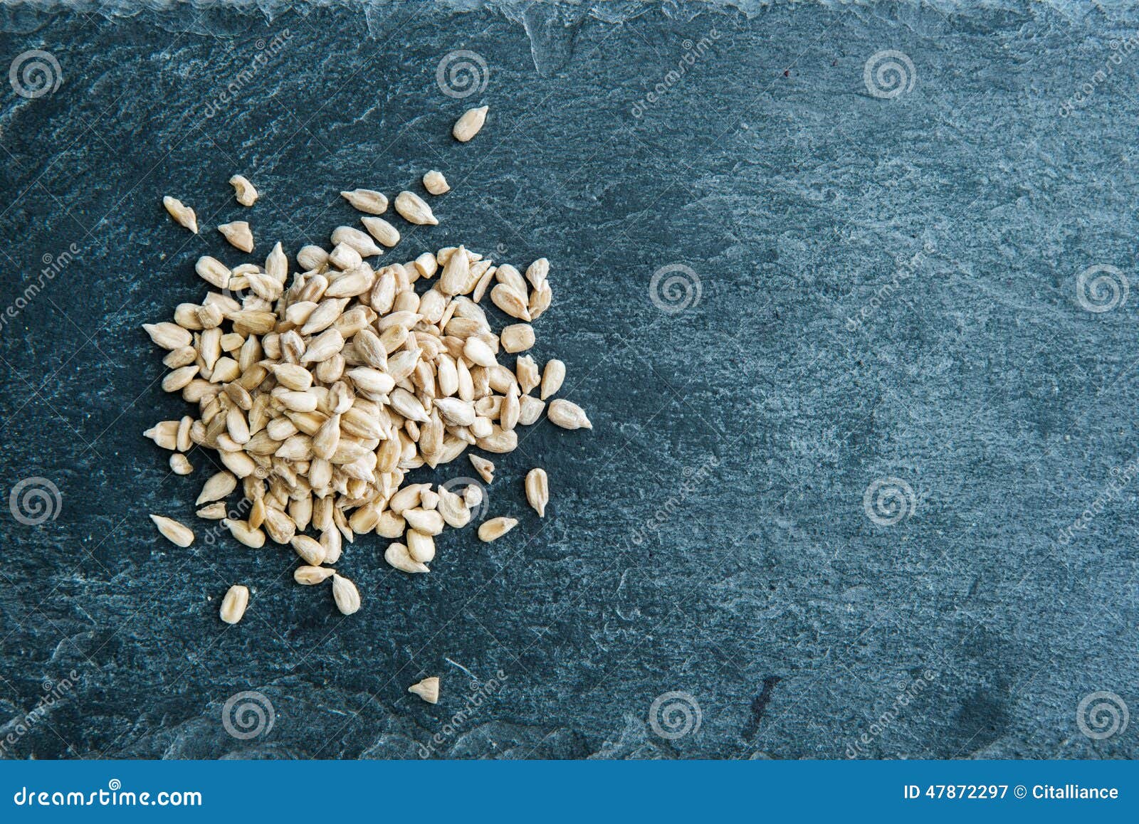 Closeup on Sunflower Seeds on Stone Substrate Stock Image - Image of ...