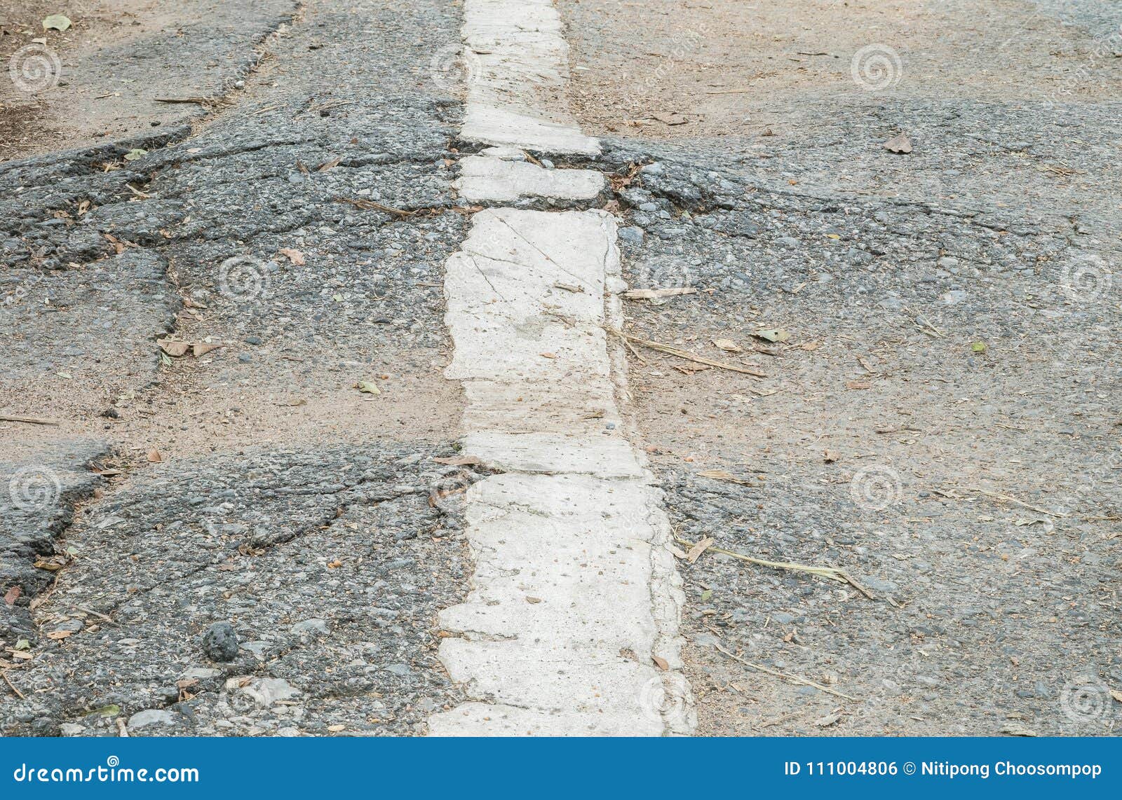 Closeup Surface Damaged Road Destroyed by Tree Roots Textured ...