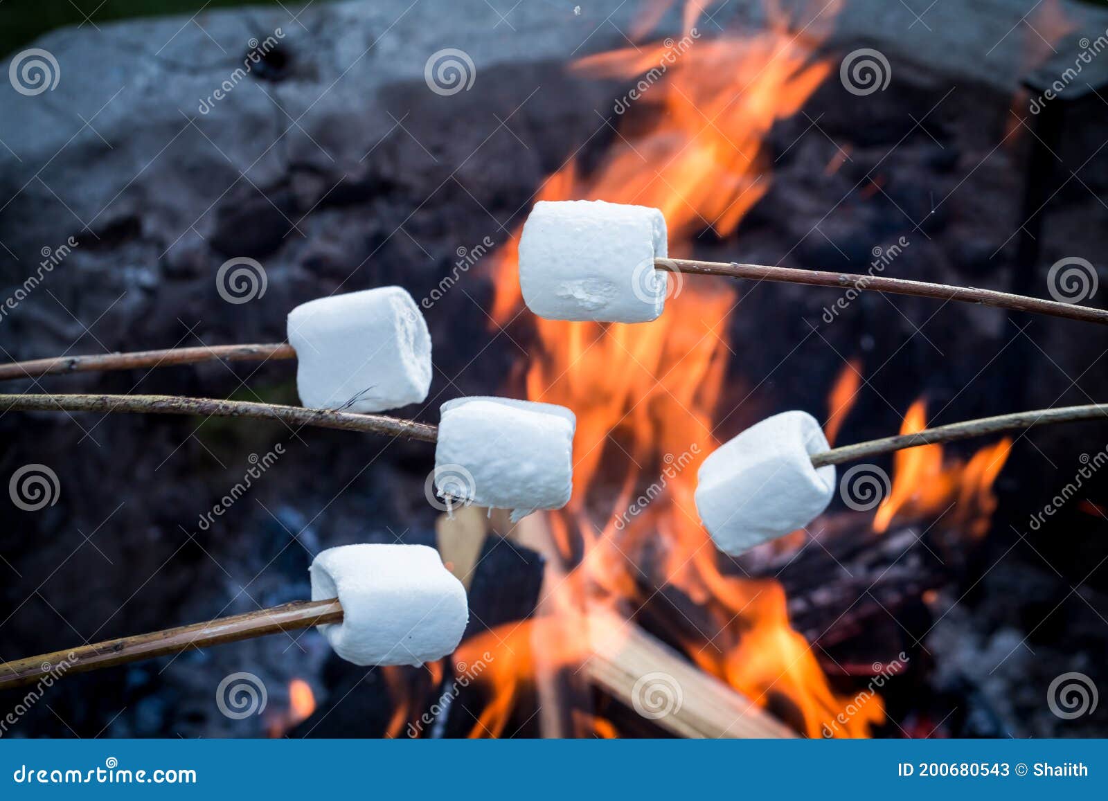 Closeup of Sweet Marshmallows on Stick Over the Bonfire Stock Image ...