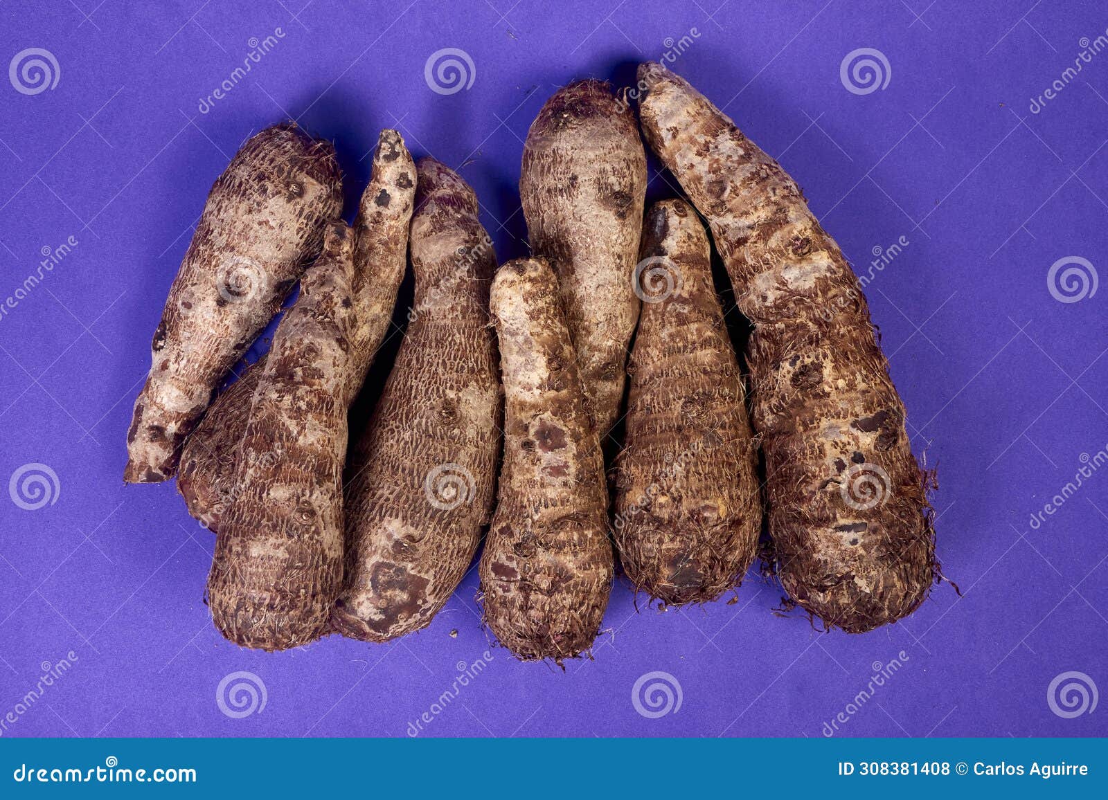 Closeup of Taro Root Vegetable, Eddo Malanga, Purple Background Stock ...