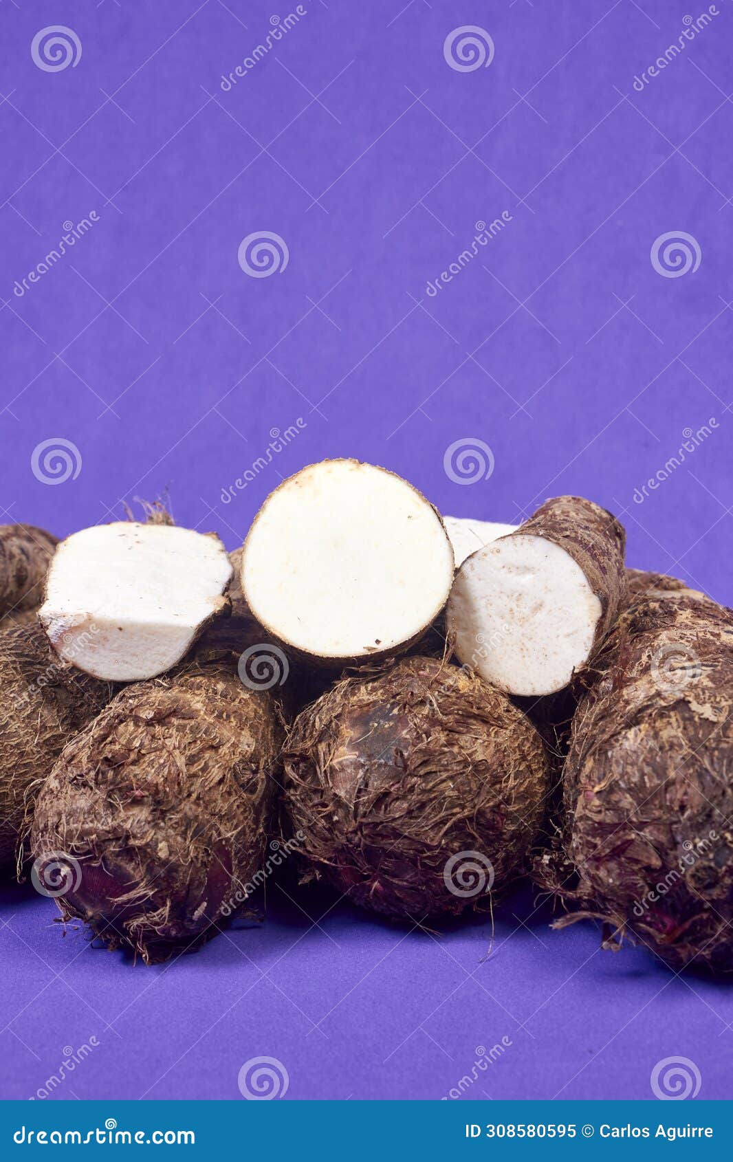 Closeup of Taro Root Vegetable, Eddo Malanga, Purple Background Stock ...