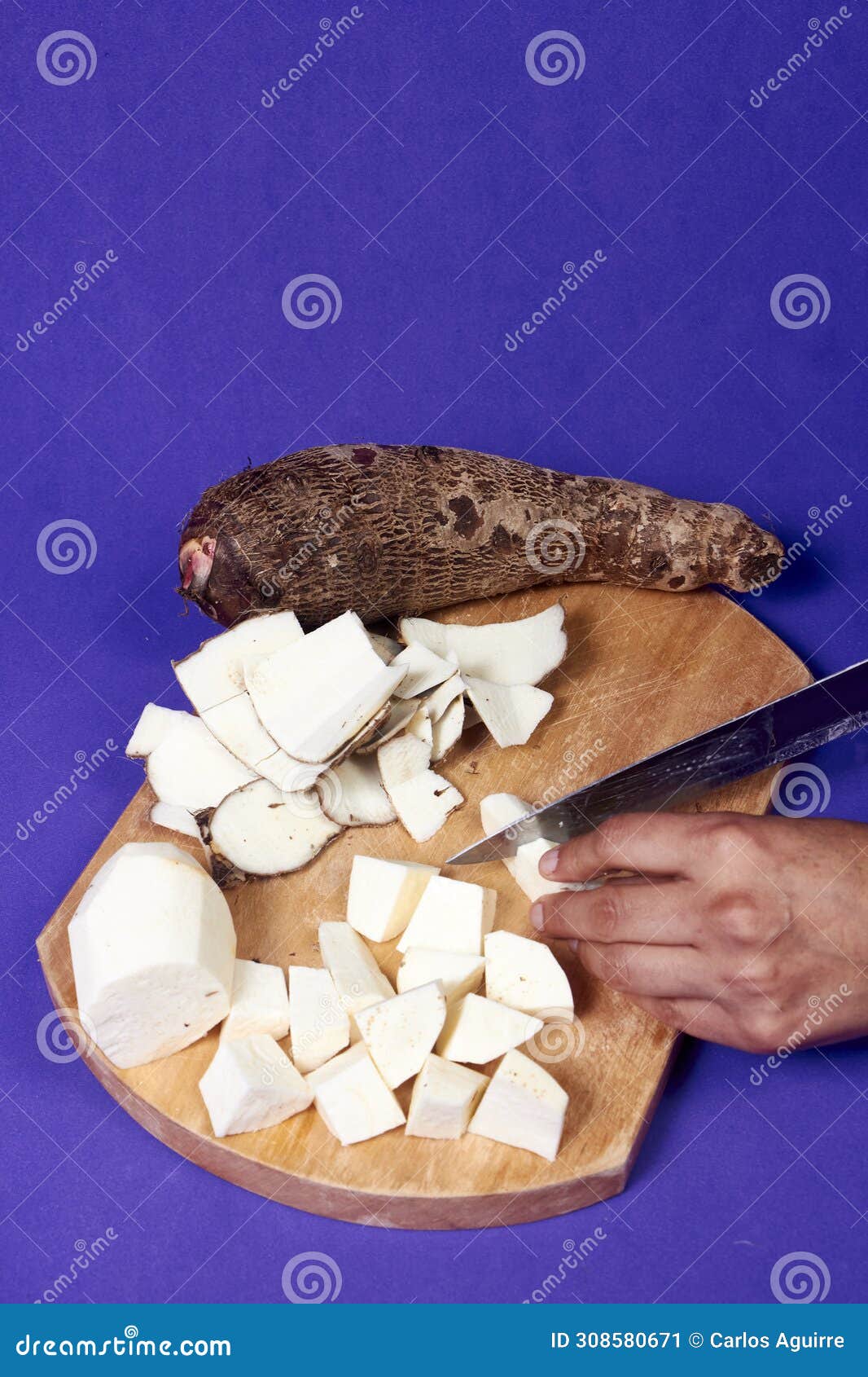 Closeup of Taro Root Vegetable, Eddo Malanga, Purple Background Stock ...