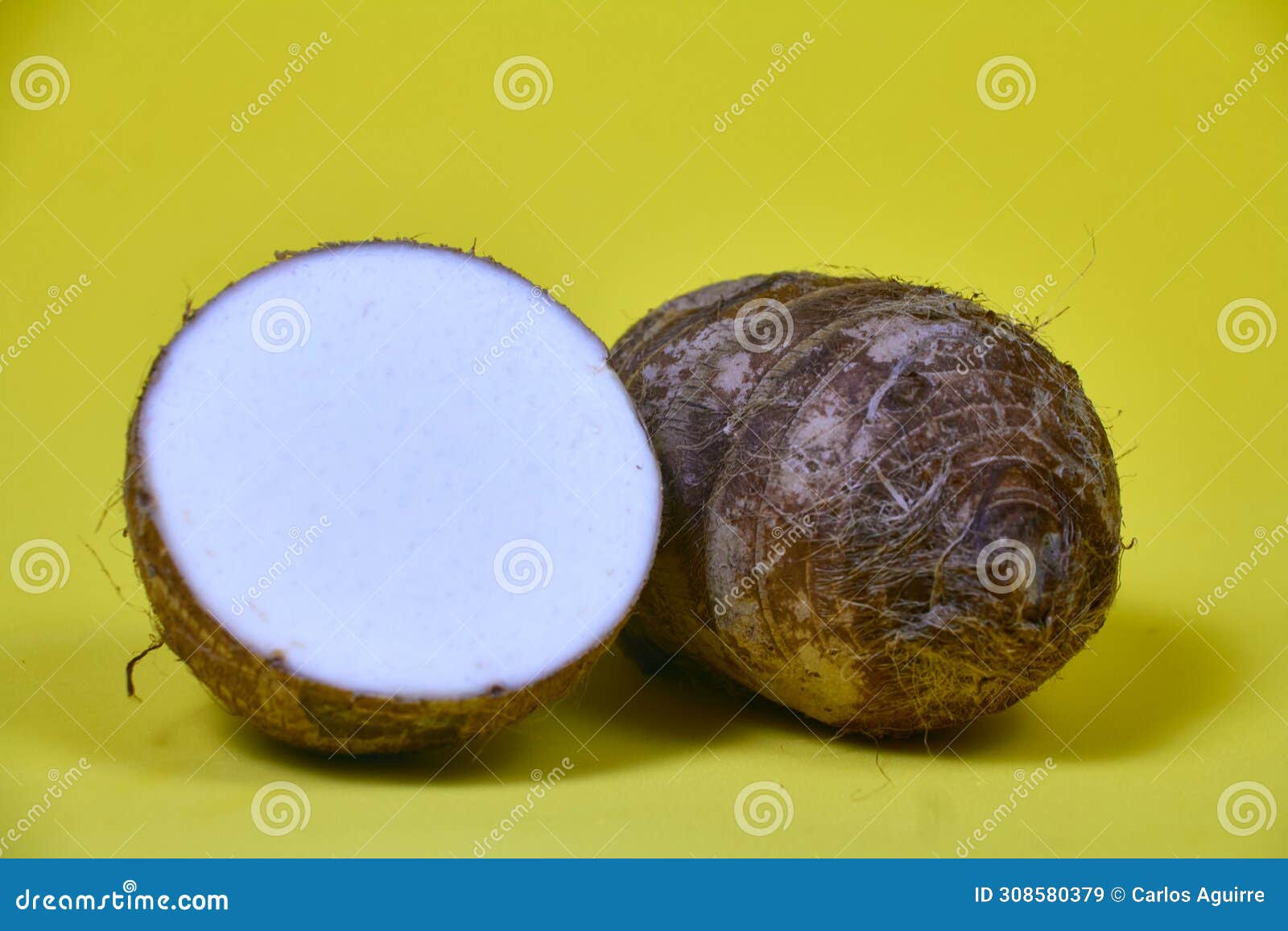 Closeup of Taro Root Vegetable, Eddo Malanga, Yellow Background Stock ...