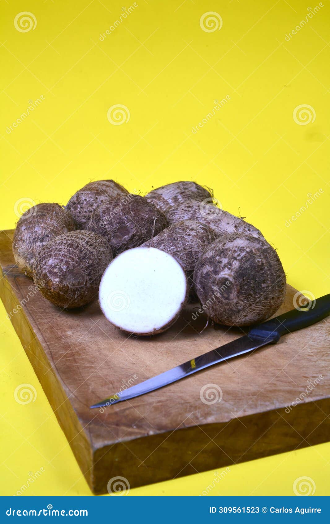Closeup of Taro Root Vegetable, Eddo Malanga, Yellow Background Stock ...