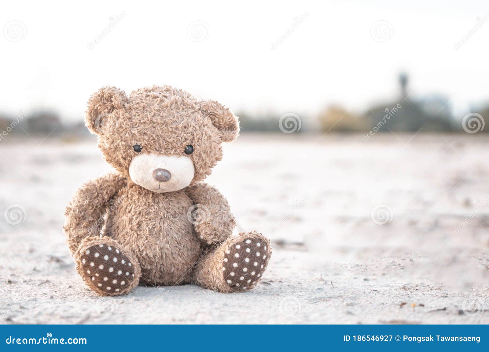 Closeup Of Teddy Bear Bandaged With Bandages And Band Aid, Concept Of ...