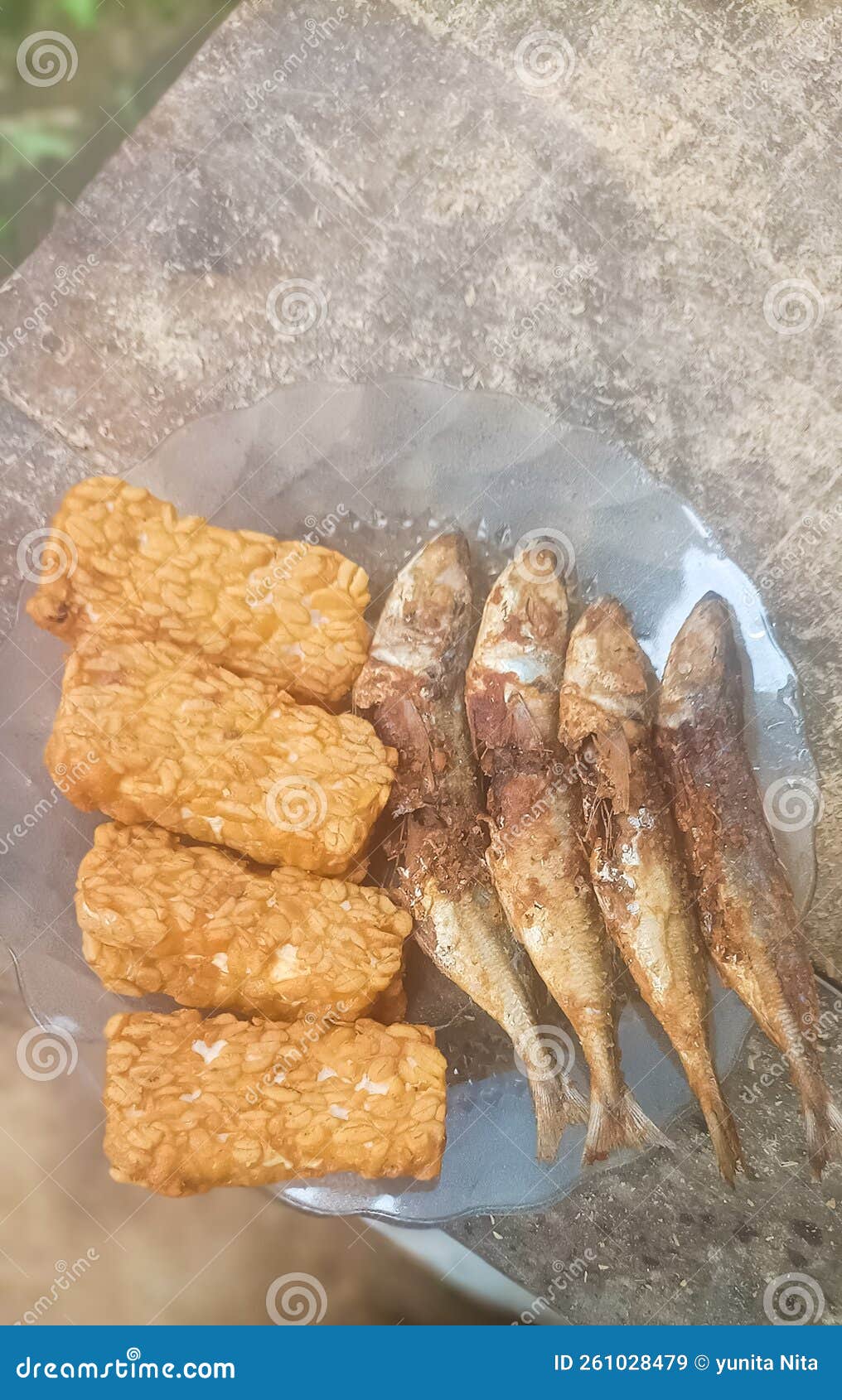 CloseUp Tempeh and Salted Fish Stock Image - Image of fish, meat: 261028479
