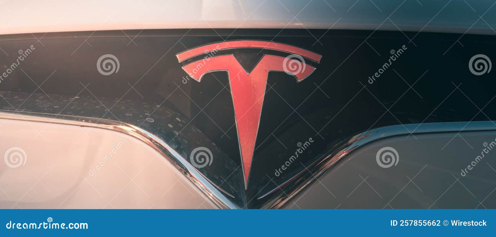 Closeup of the Tesla Logo on a Car Editorial Photography - Image of ...