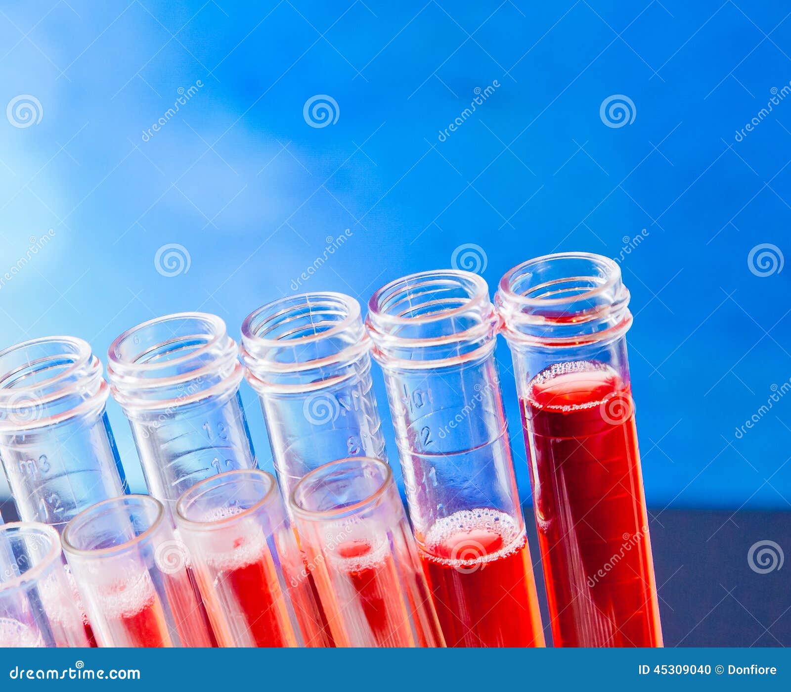 Closeup of Test Tubes with Red Liquid in Laboratory Stock Photo - Image ...