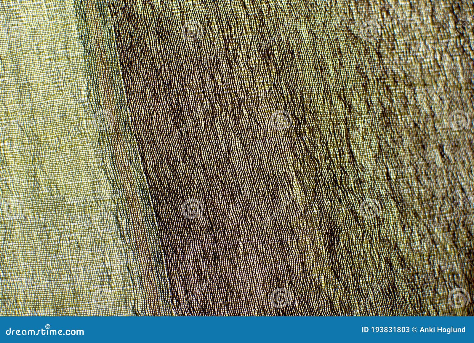 Closeup of Textile in Earth Colors Stock Image - Image of earth ...