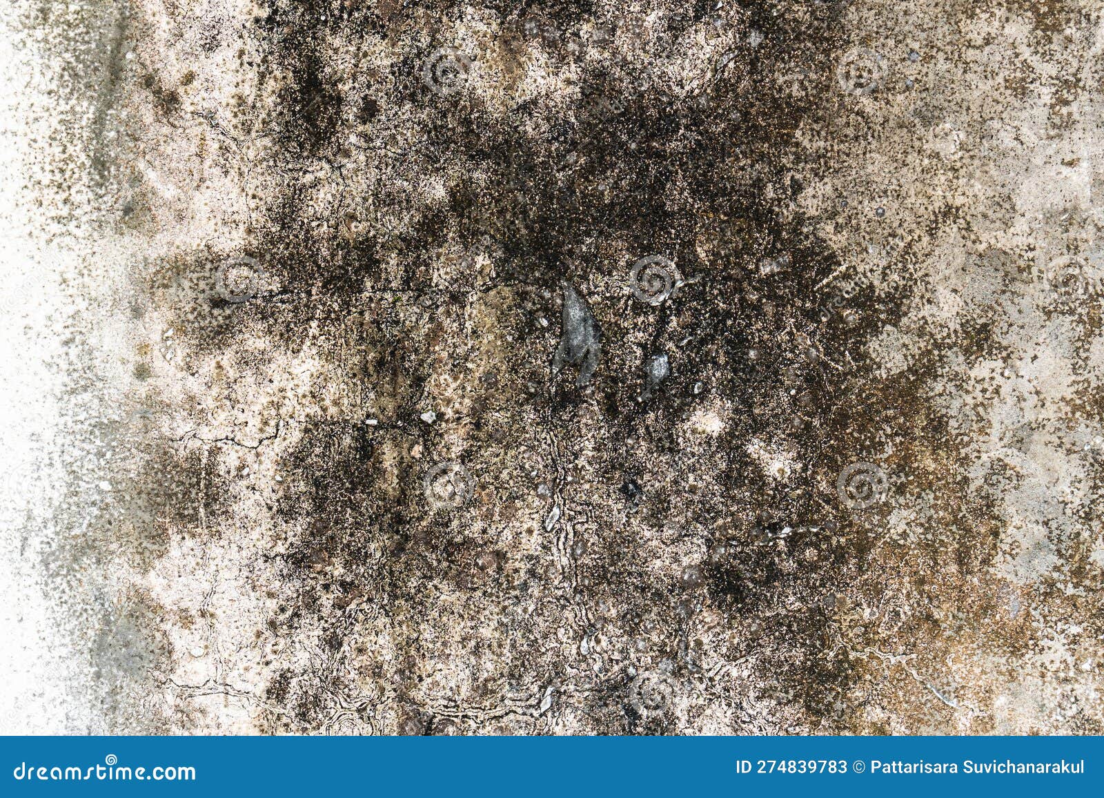 Closeup Texture Abstract of Old and Crack Wall Background, Floor Cement ...