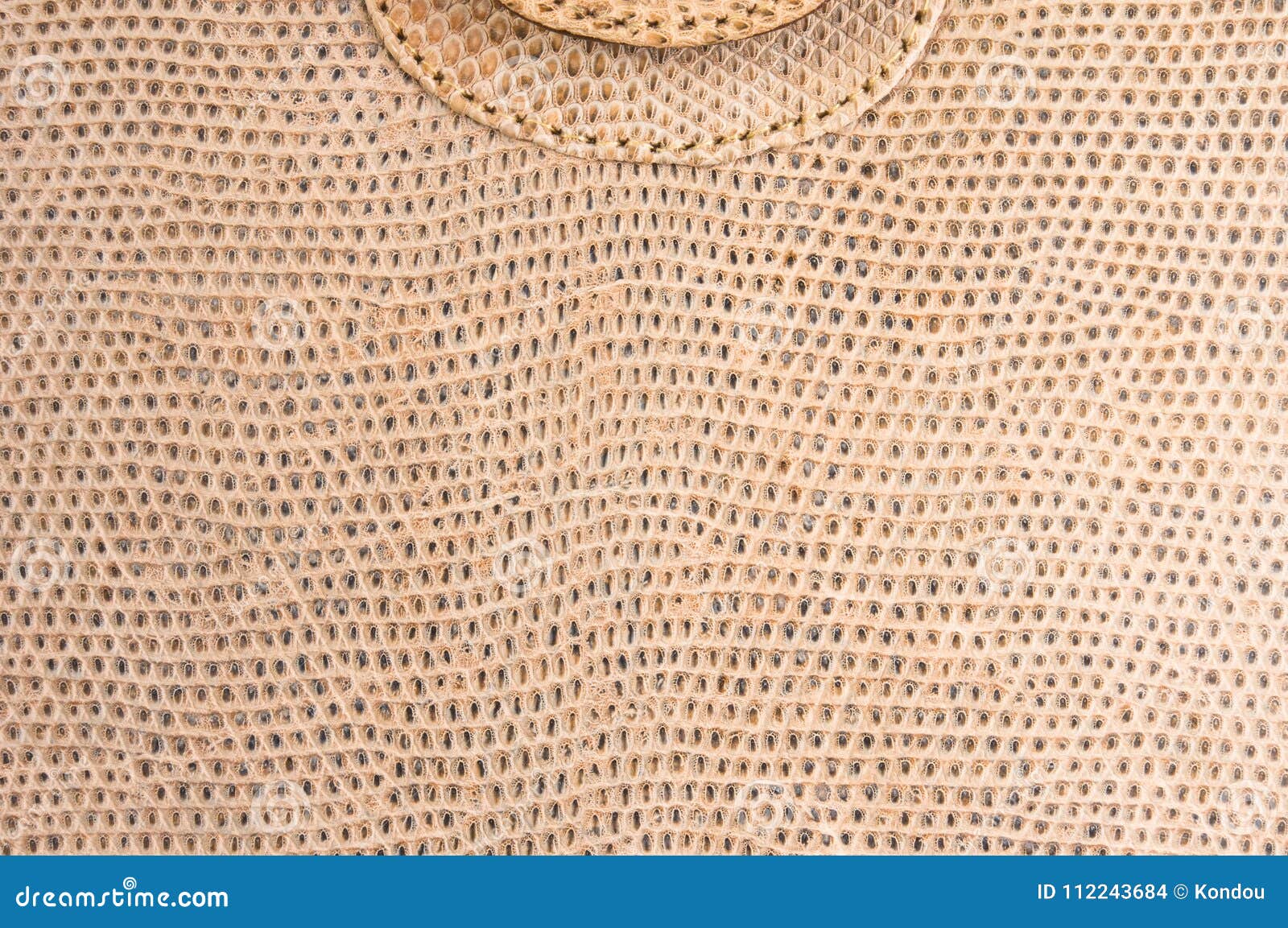 Texture on the Leather Hand Bag Stock Photo - Image of beauty, detail ...