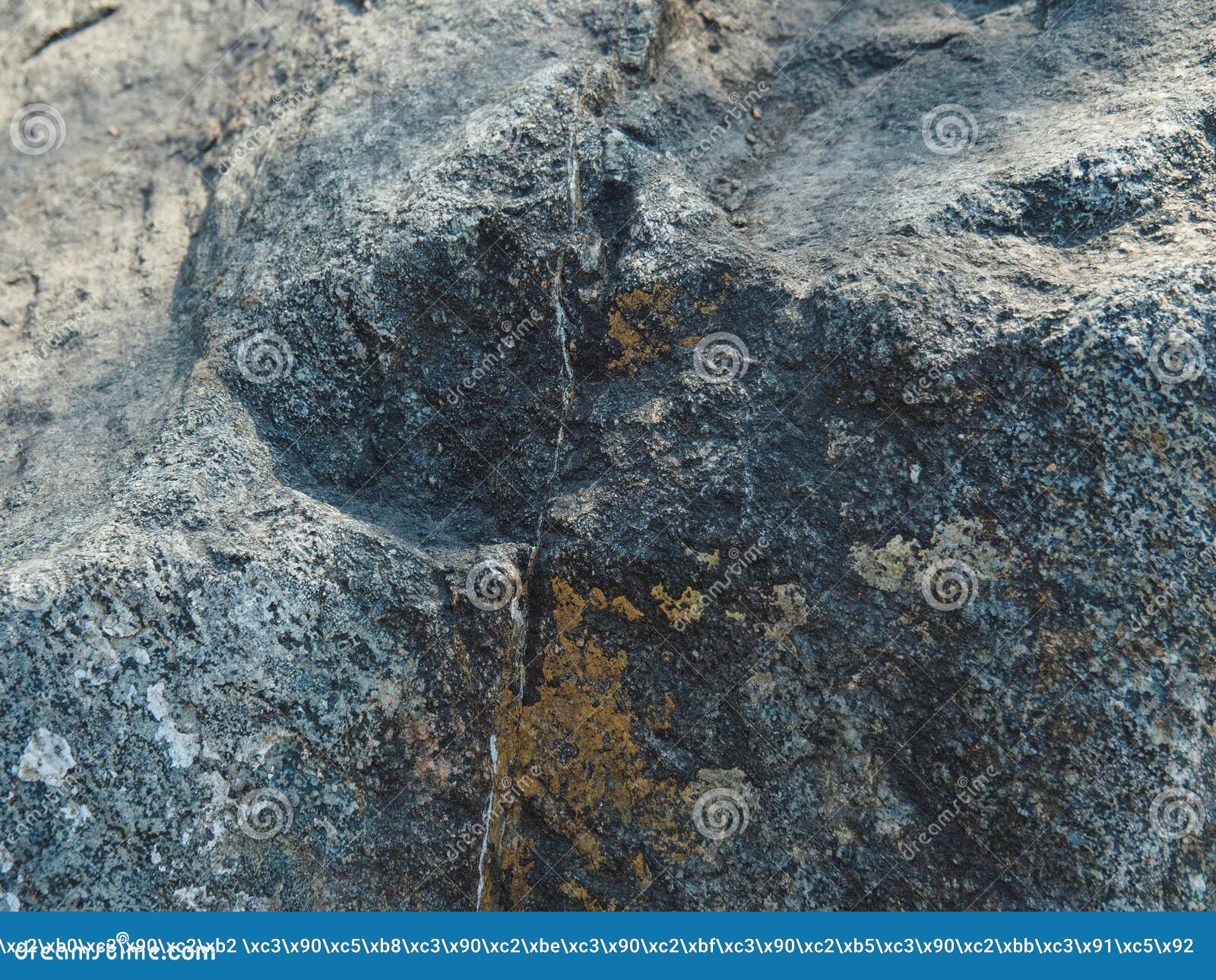 A Closeup of the Texture of a Large Raw Granite Stone_ Stock Photo ...