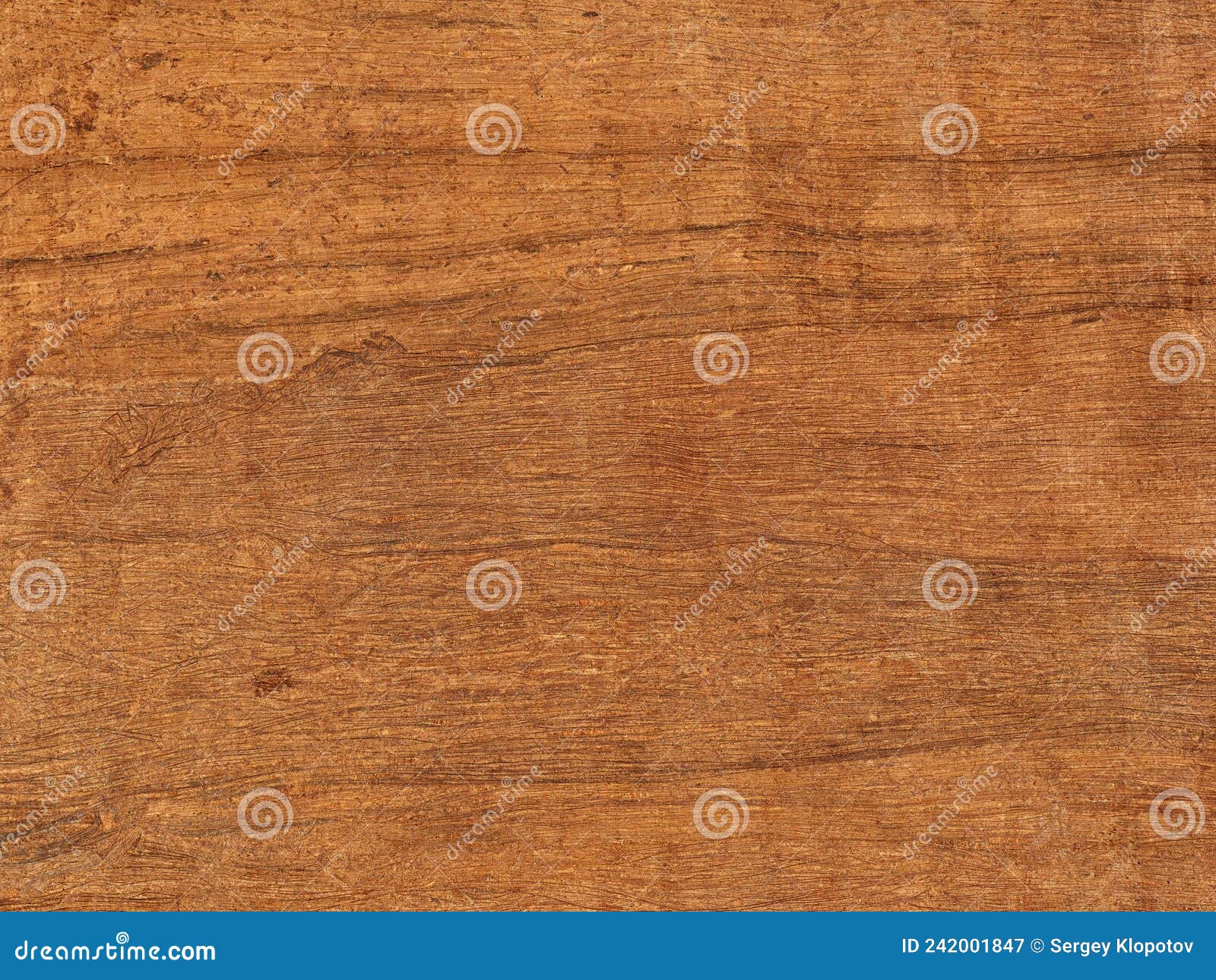 Closeup Texture of Natural Papyrus Stock Image - Image of scroll ...