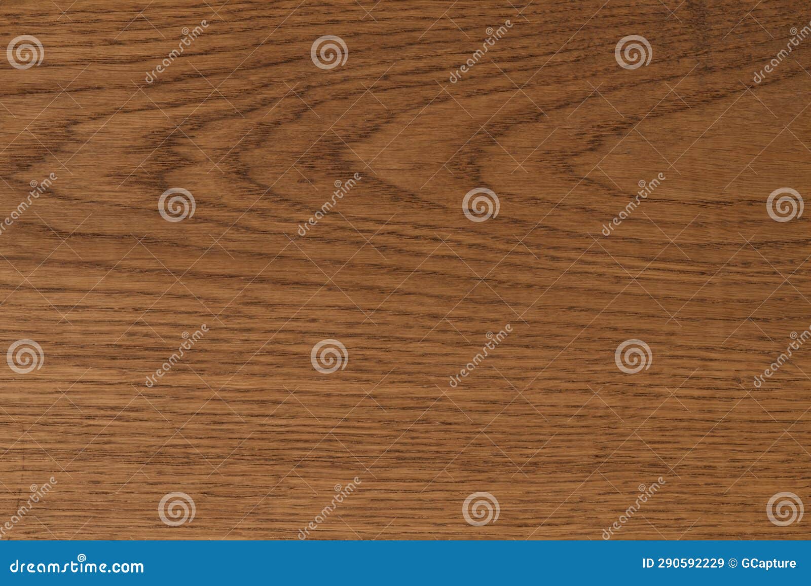 Closeup Texture of Oak Wood with Oil Finish Stock Image - Image of ...