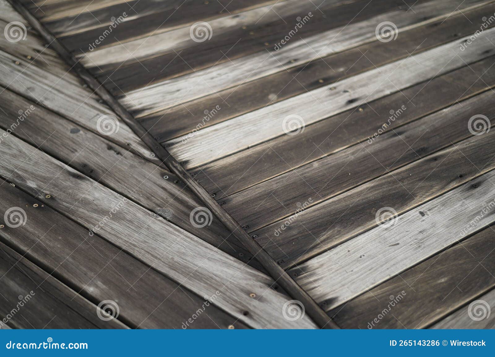 Closeup of the Texture of an Old, Wet Wooden Dock with White Patterns ...