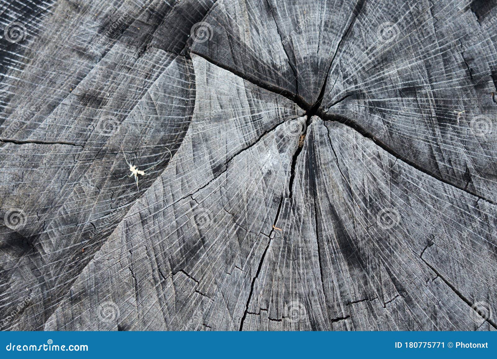 Closeup Texture of Old Wood with Cracks Pattern, Abstract Background ...