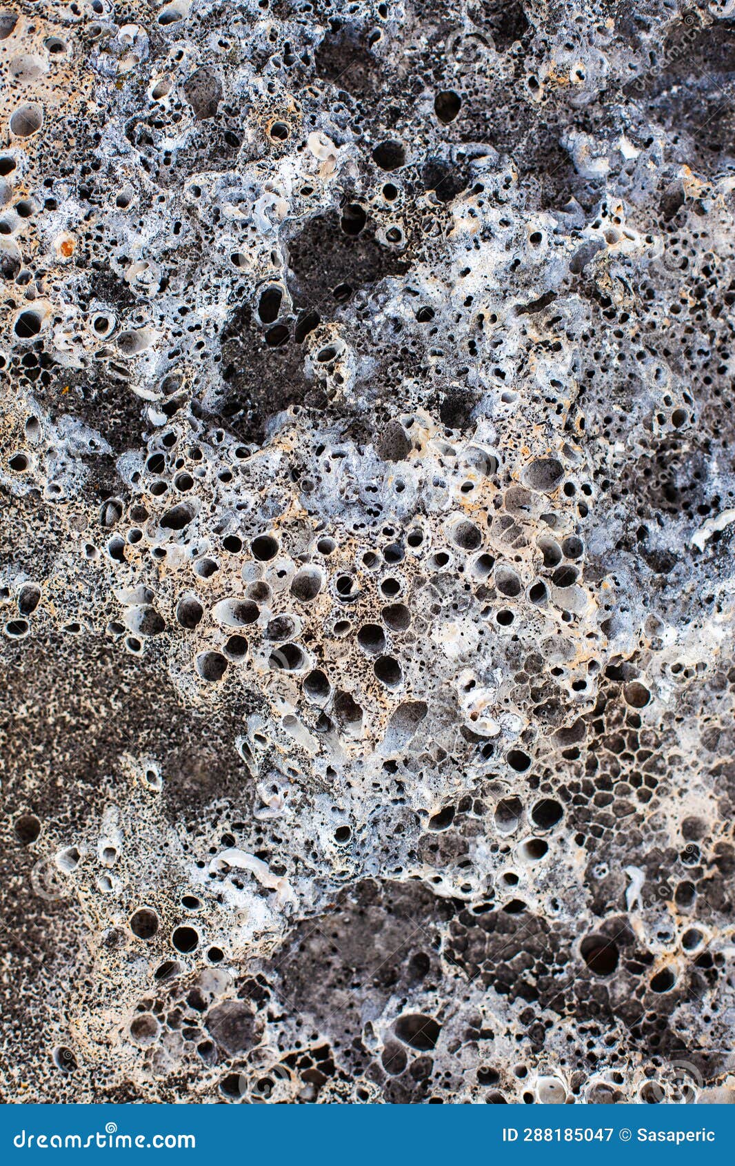 Closeup Texture of Seaside Stone Stock Image - Image of black, stone ...