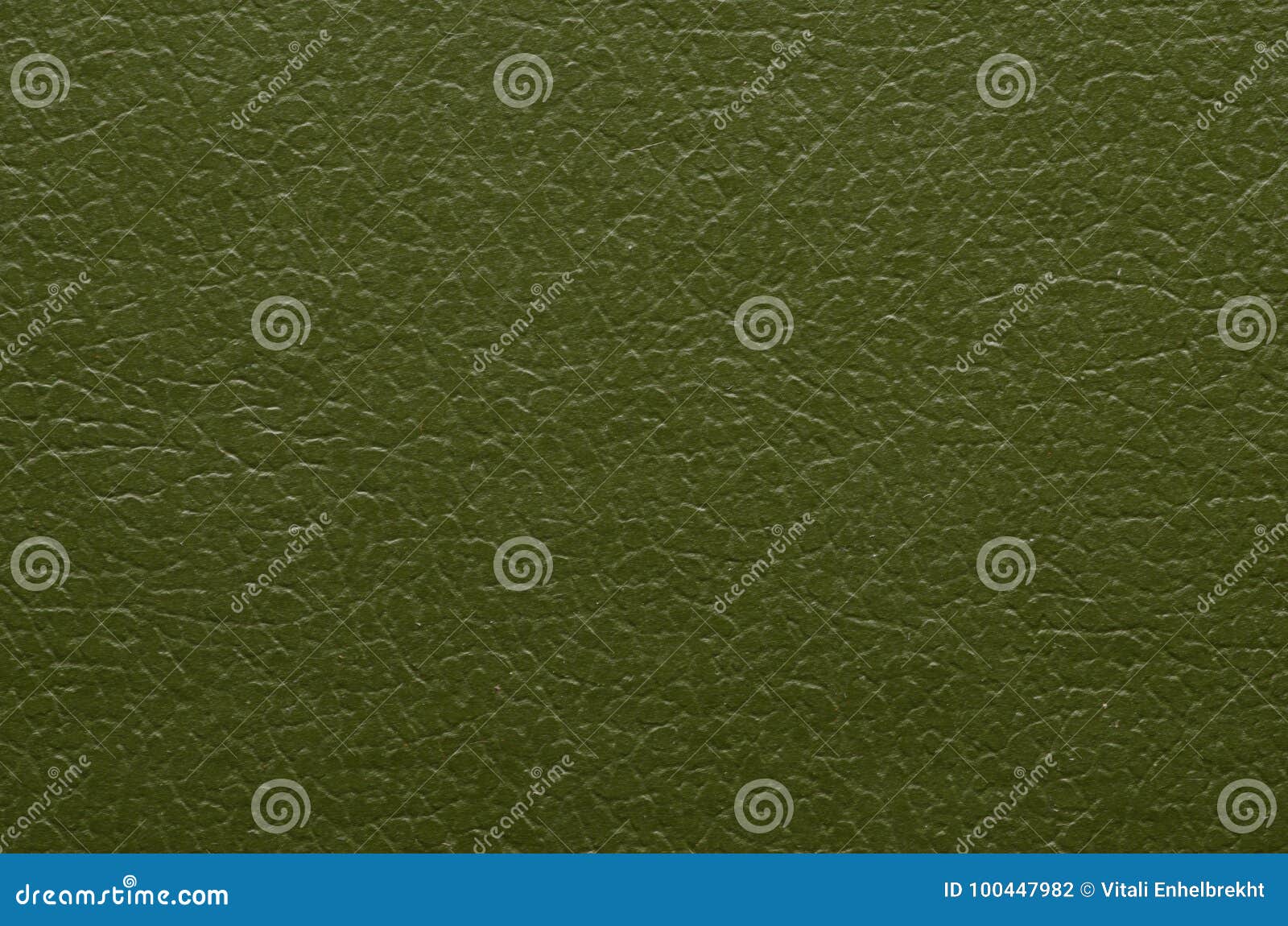 Closeup texture of skin. stock photo. Image of natural - 100447982